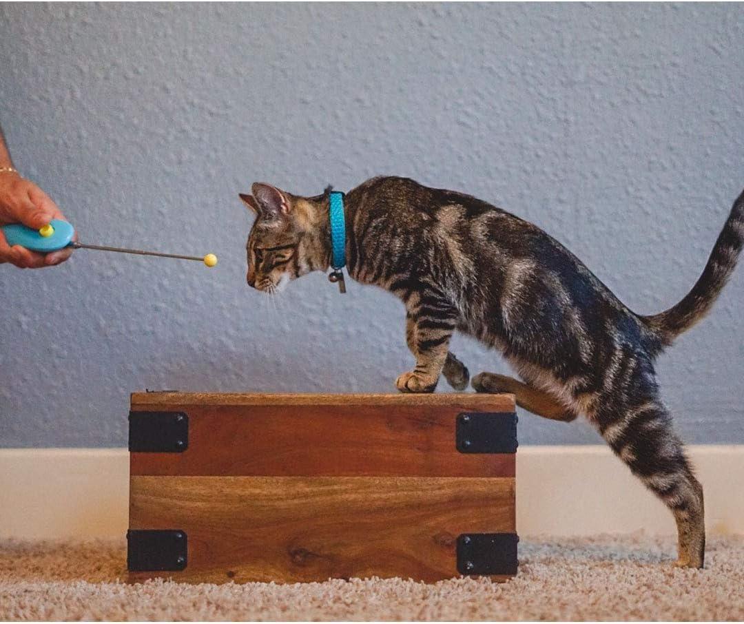 CAT SCHOOL Clicker Training Kit - 1 Cat Training Clicker 1 Target Stick ...
