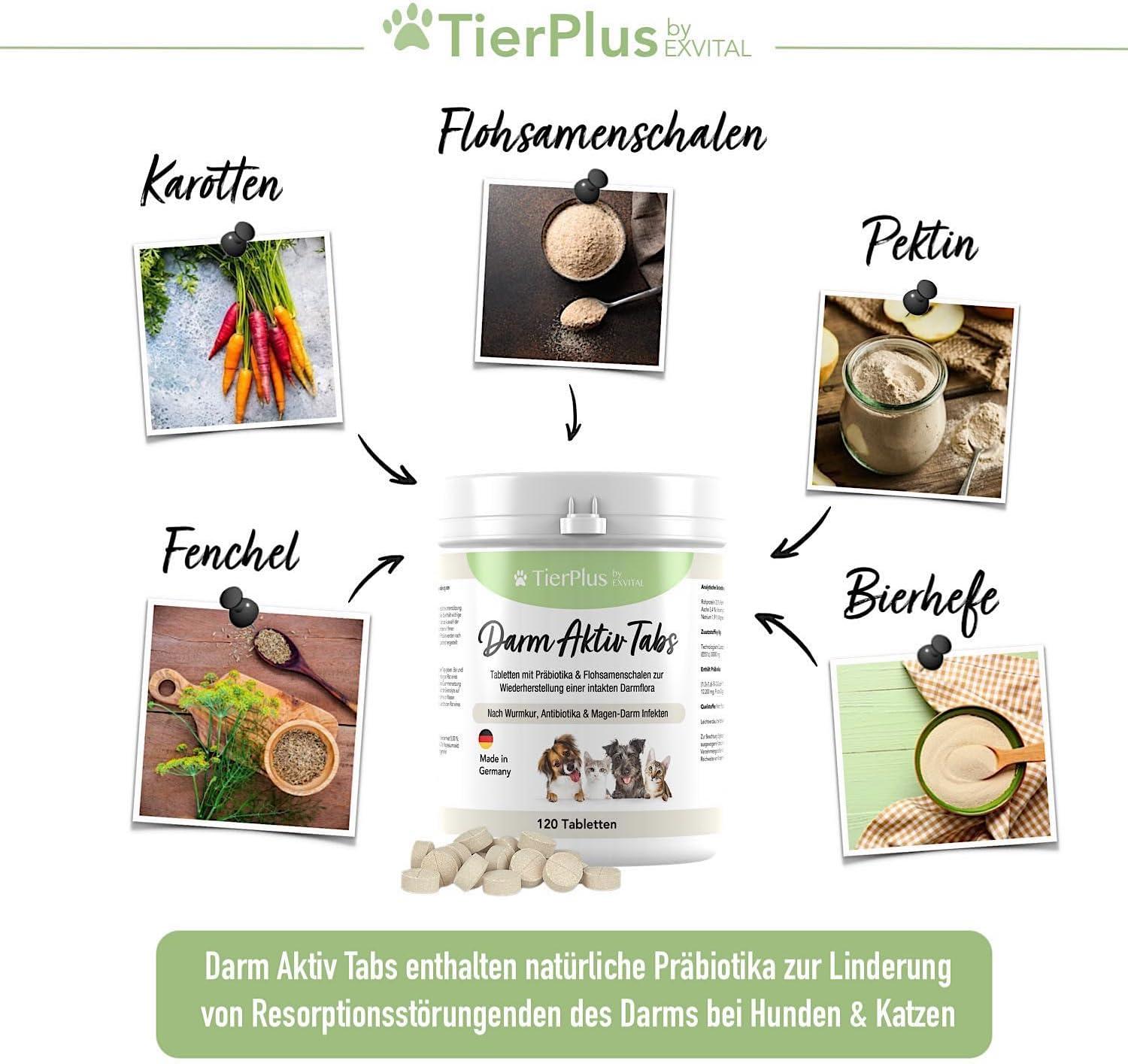 Exvital TierPlus Intestine Active Tablets for Dogs & Cats | Prebiotics ...