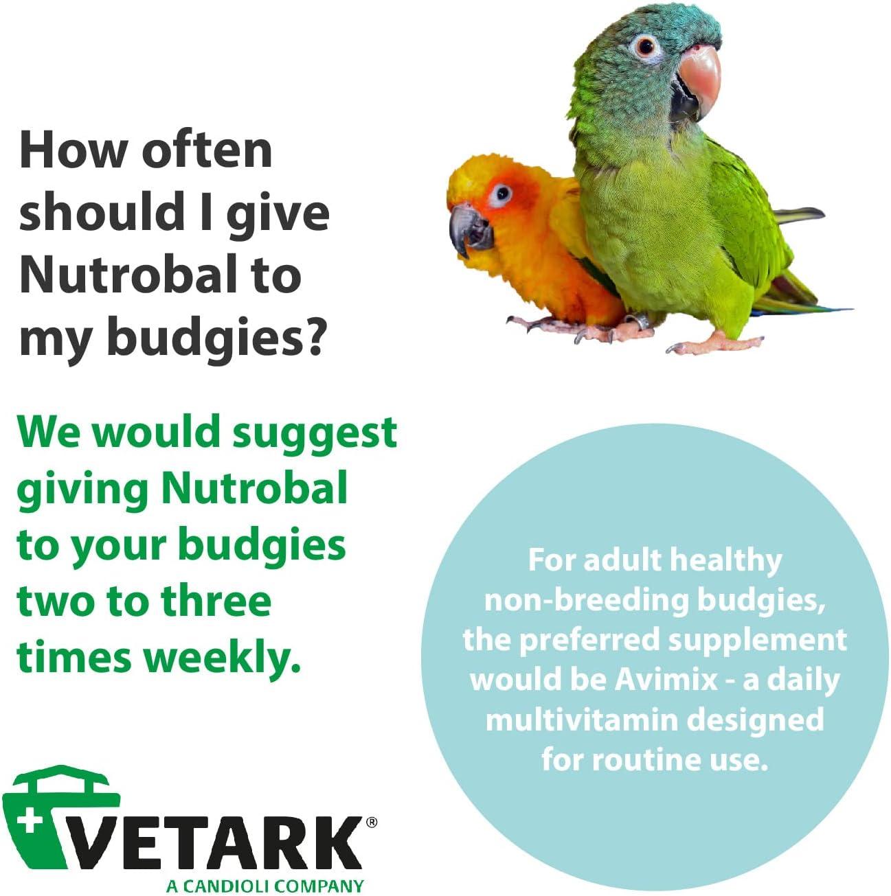 Nutrobal Calcium & Vitamin D3 Mineral Supplement for Birds & Reptiles ...