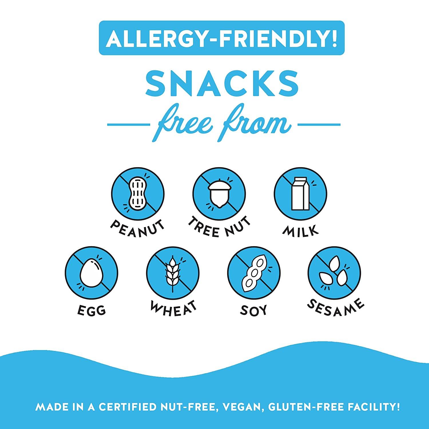 Blakes Seed Based Snack Bar Variety Pack - Nut Free, Gluten Free, Dairy ...