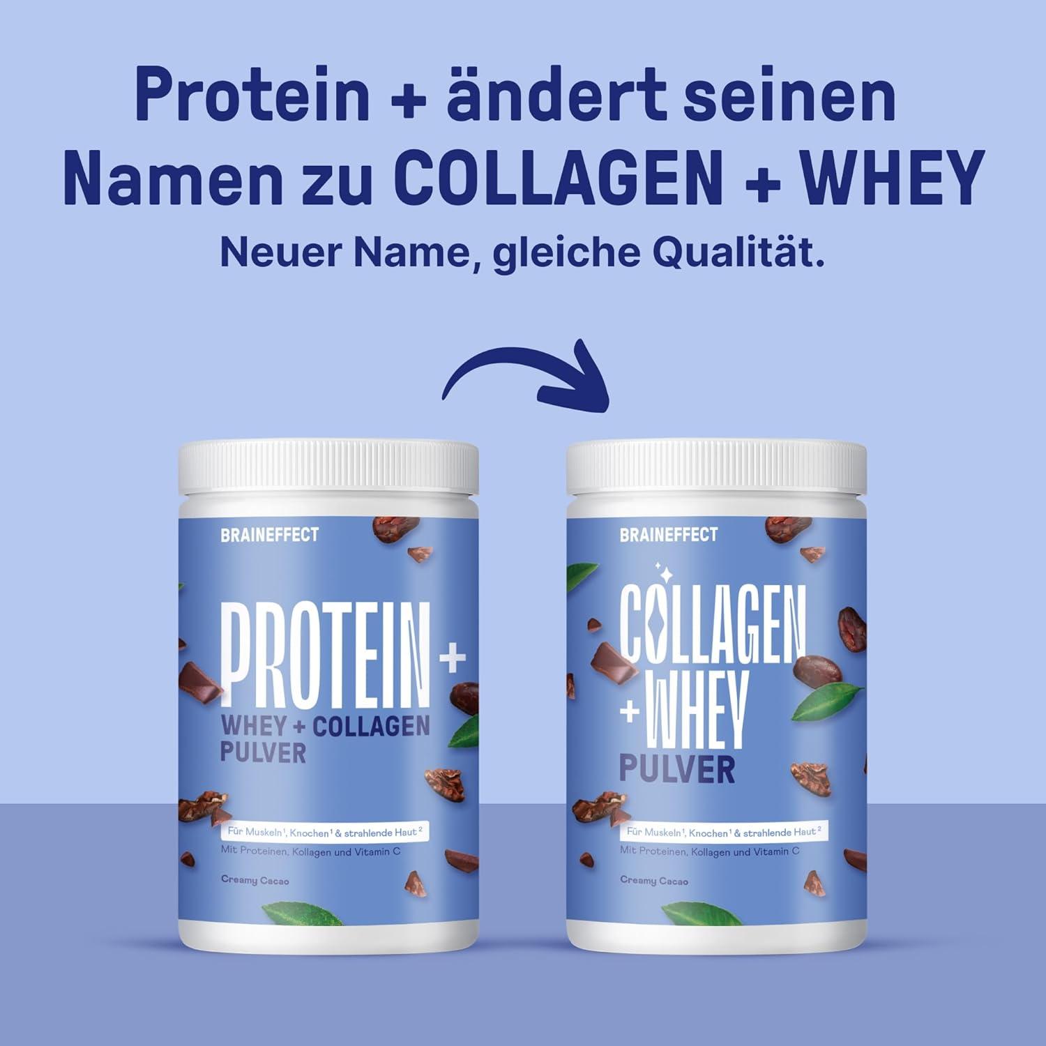 BRAINEFFECT PROTEIN+ | Sugar-Free Whey Protein Powder | Regeneration ...