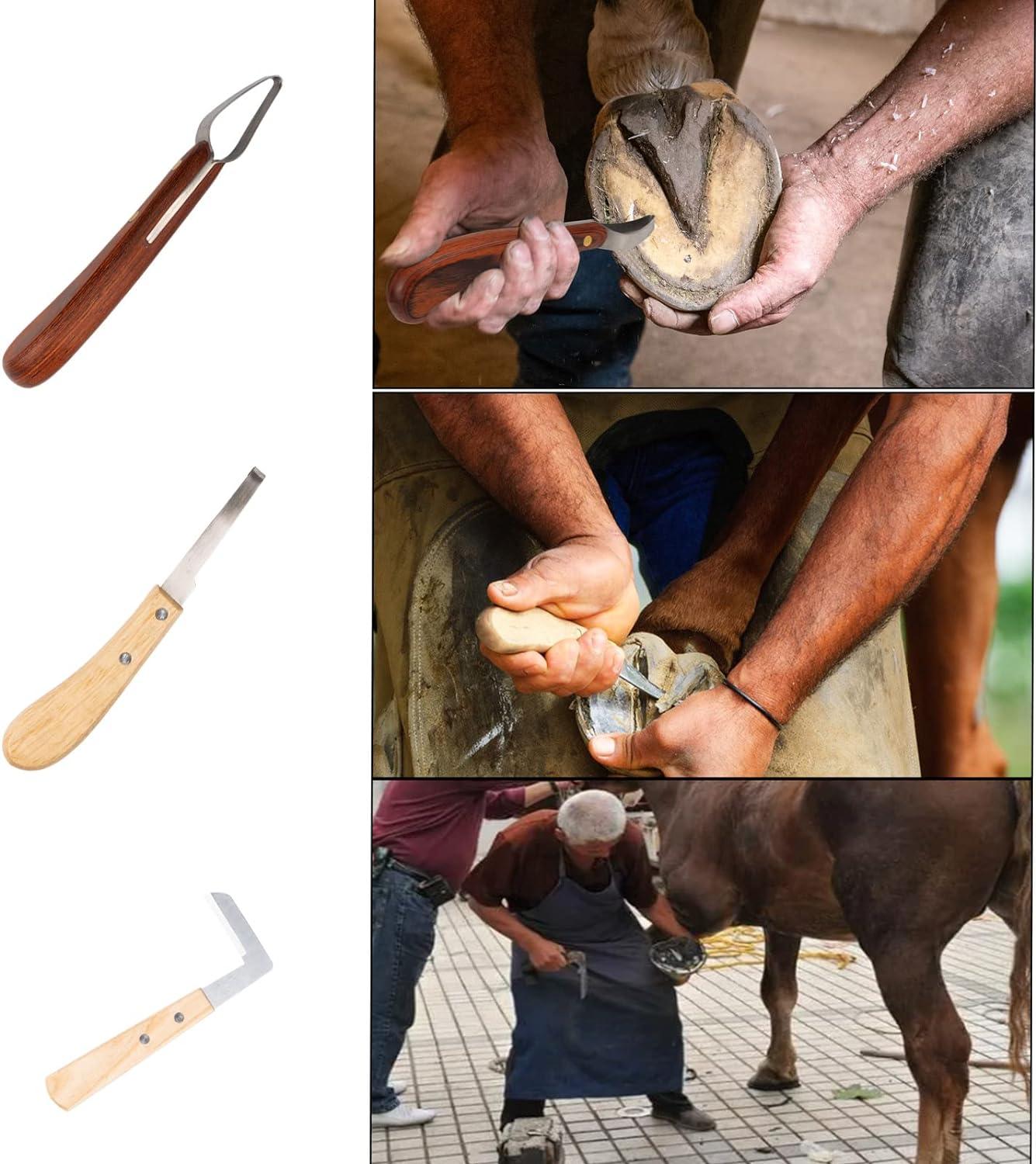 capuca Farrier Tools Horse Hoof Trimmers - 14PCS Goat Hoof Trimmers Kit 8 Inch Hoof Rasp Nippers ...