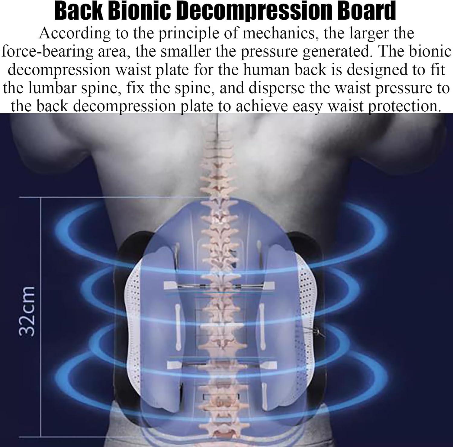 RKXKJ Riemenic Disc System - Adjustable Lumbar Support | 26 Bionic ...