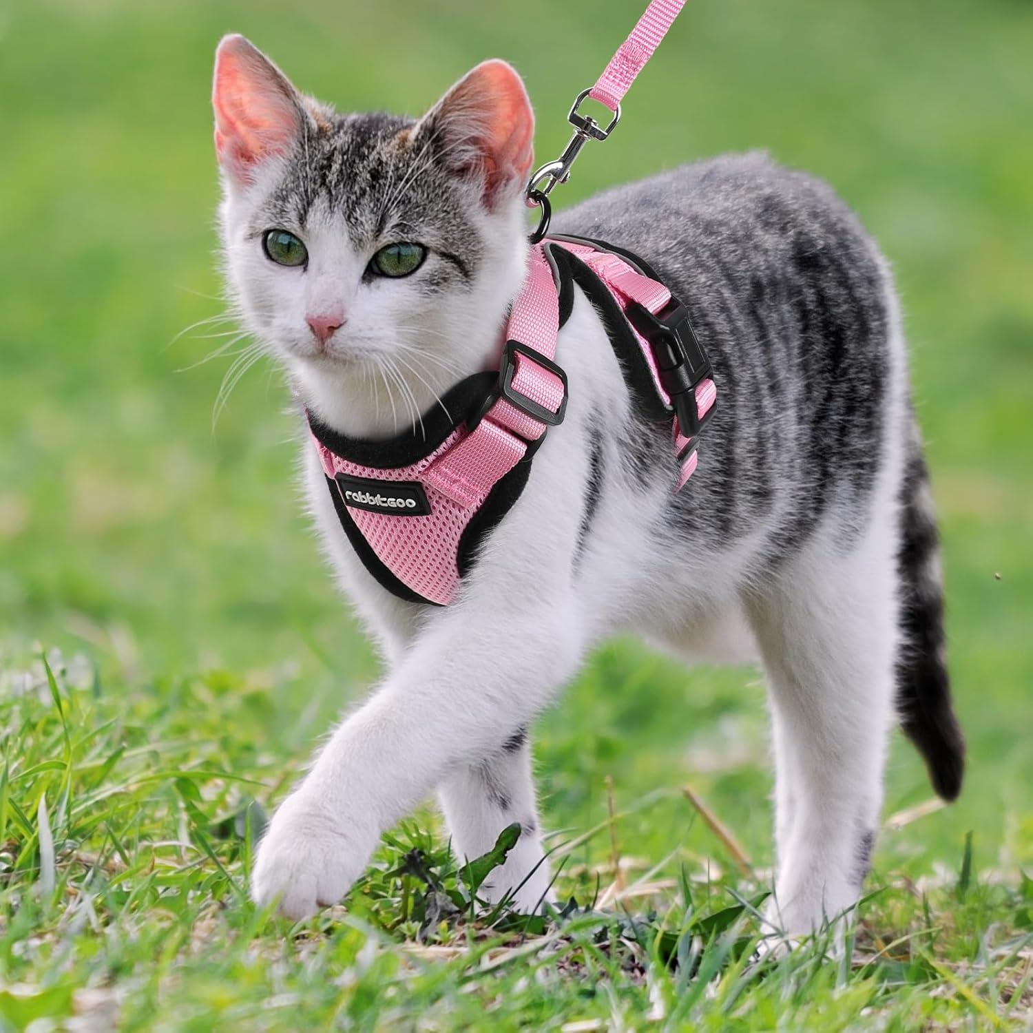 Rabbitgoo Cat Dishes & Chest Harness Set - Adjustable Cat Harness with ...