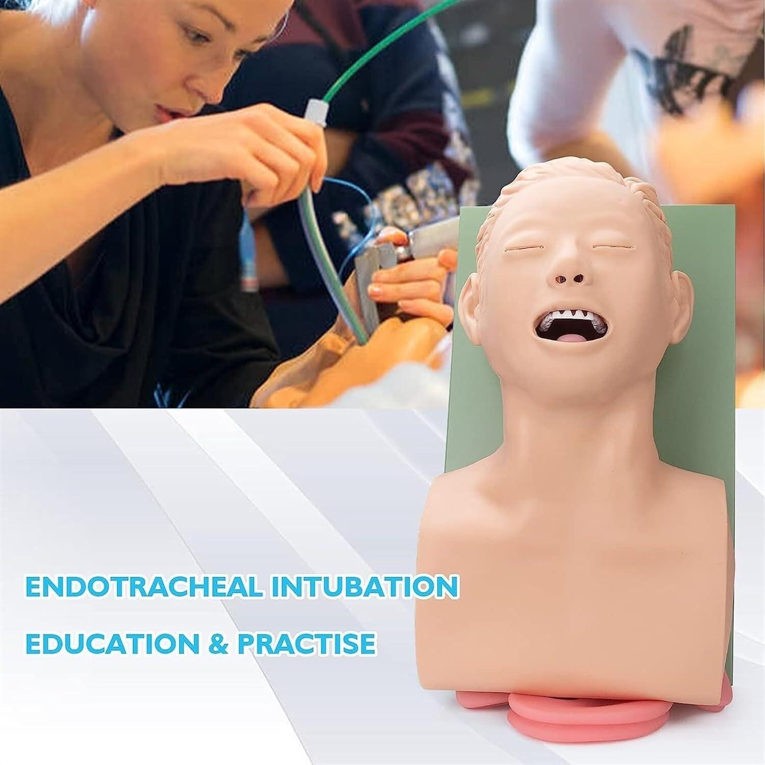 Shop AYGJKIE Tracheal Intubation Simulator Manikin | Oral/Nasal ...