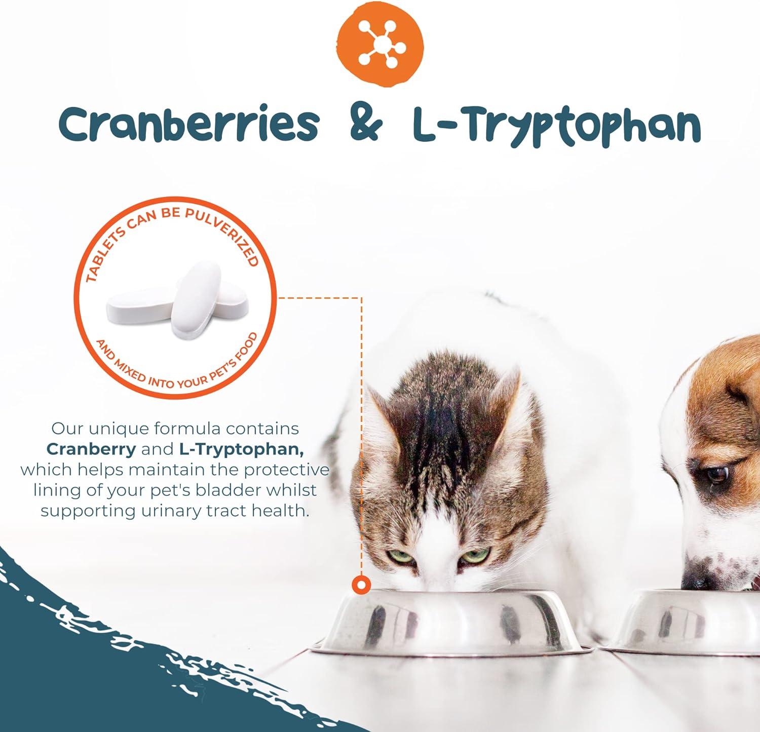 PetExx Urinary Boost 30 Tablets - UTI & Cystitis Treatment for Cats ...