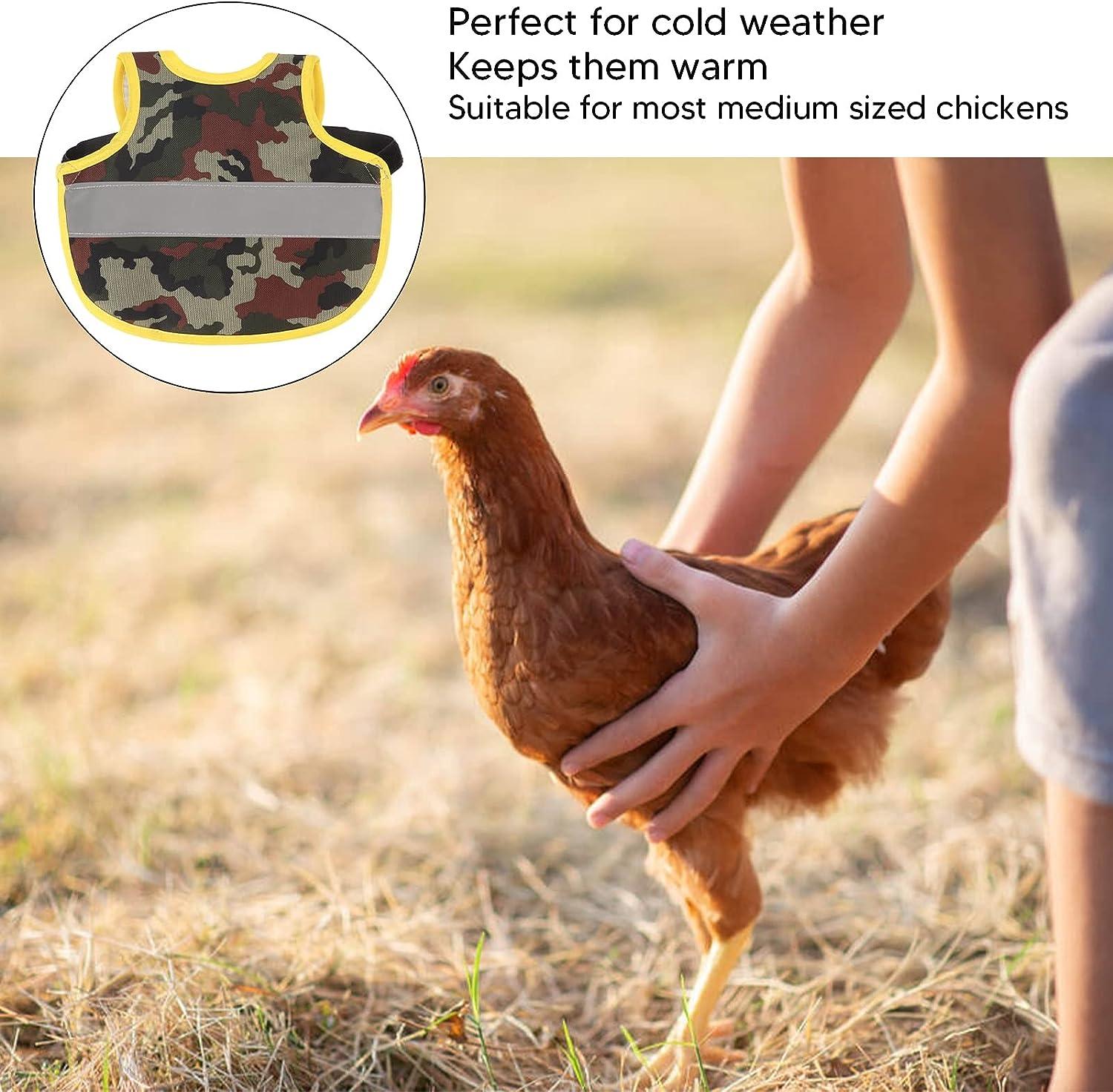 GLOGLOW Chicken Vest - Hen Apron for Back Protection | Camouflage ...