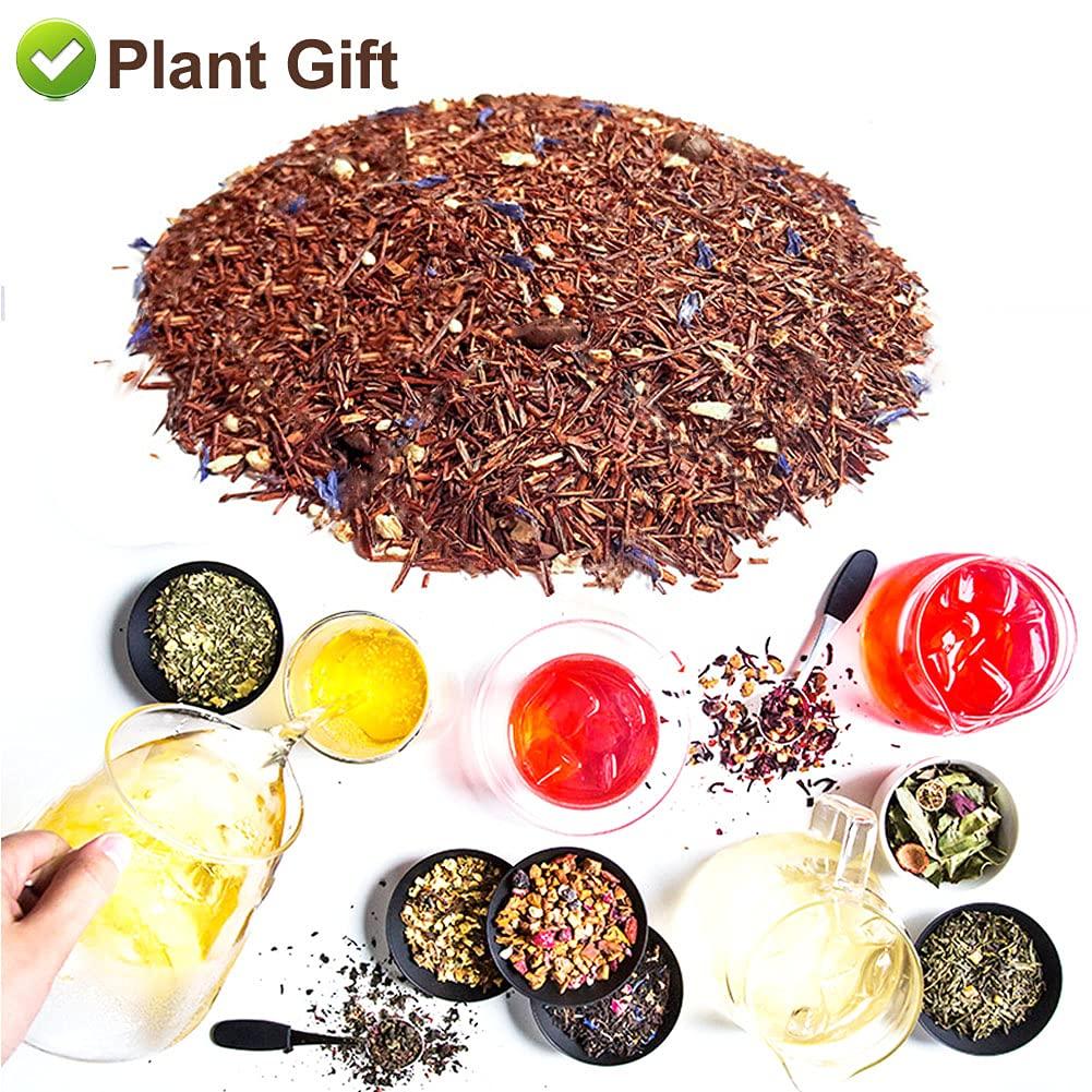 Plant Poison Vanilla Latte Rooibos Tea | Loose Leaf Blend with ...