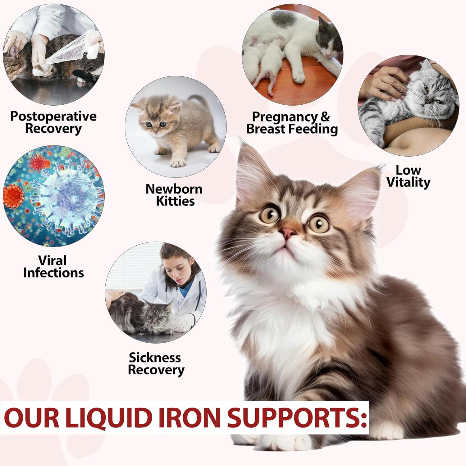 Iron Supplements for Cats 60ML Liquid Iron with Folate and B12 Supports ...