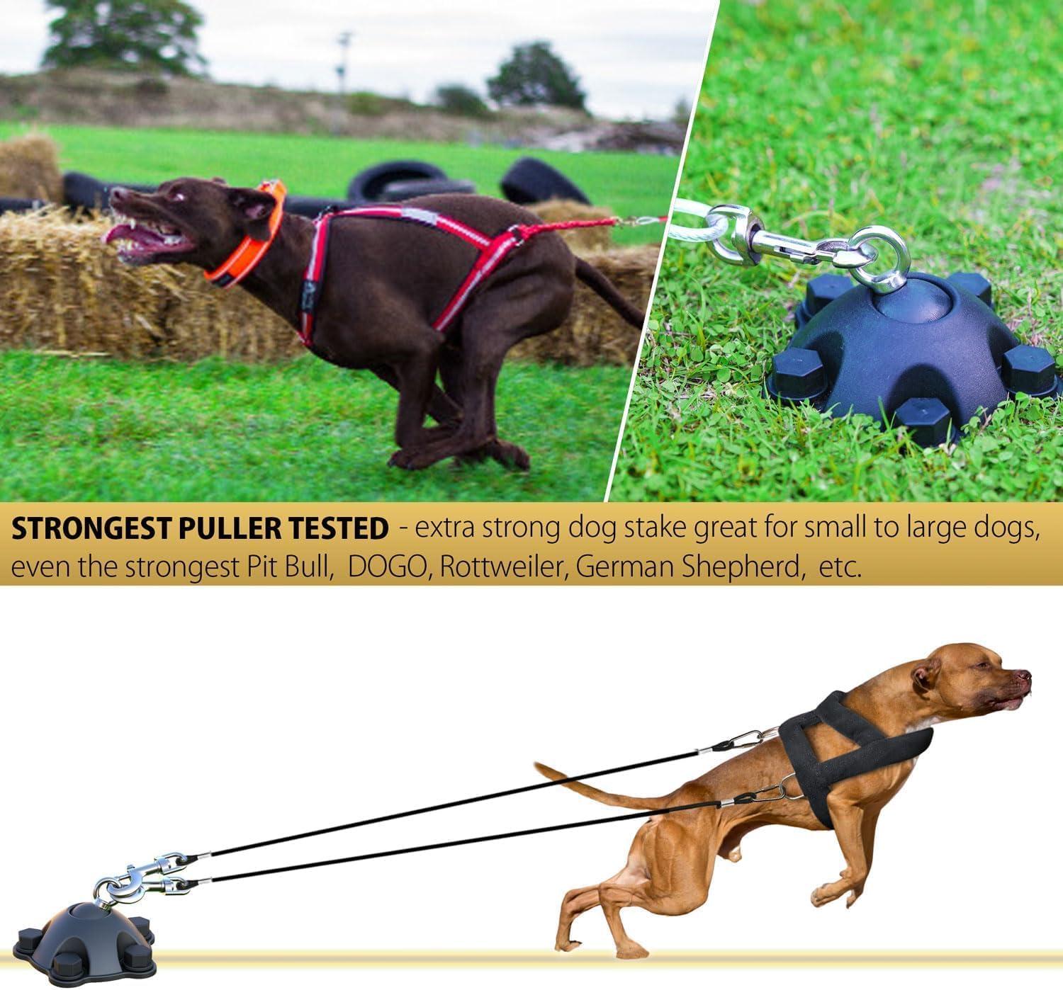 Patented 360 Rotatable Dog Anchor Stake - Strong Dog Stake with 20ft ...