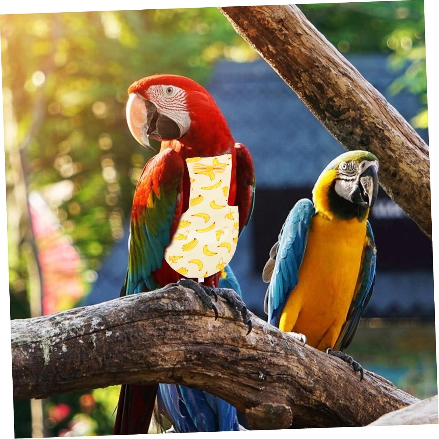 PopetPop 10 Pack Parrot Flight Suits - Ideal Diapers for Birds ...