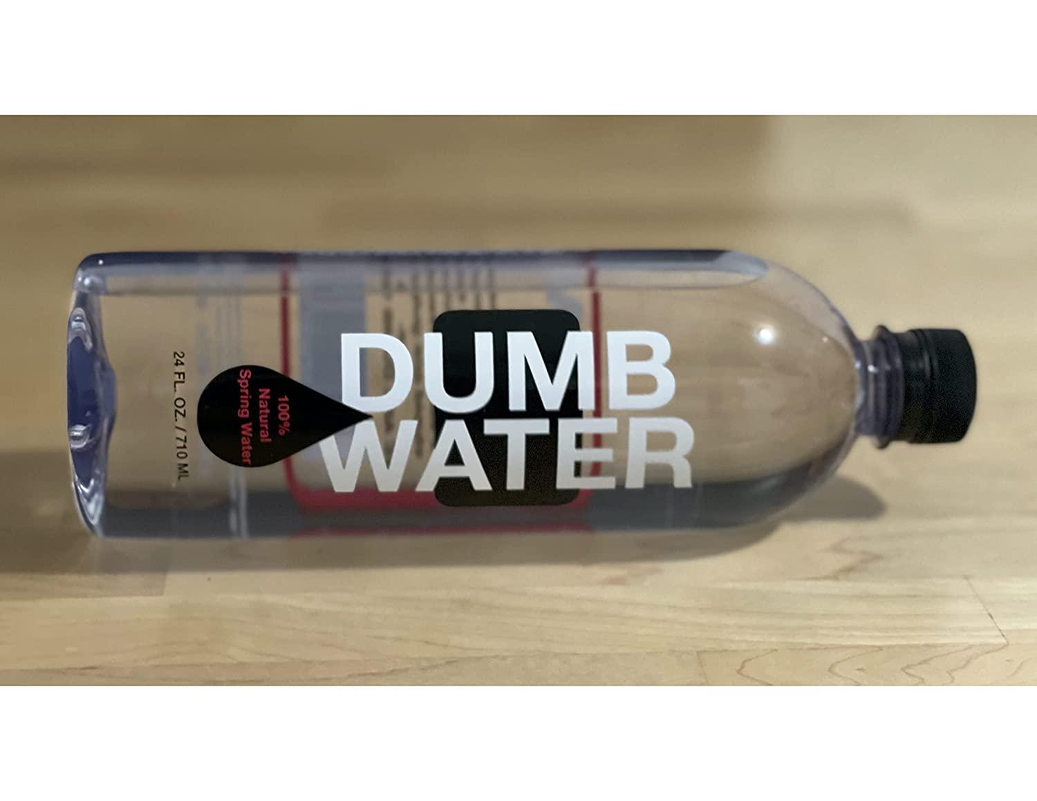 Dumb Water 6 Pack 100% Natural Spring Water | BPA Free | 6/24 Fl. Oz. Bottles | Buy Now with ...
