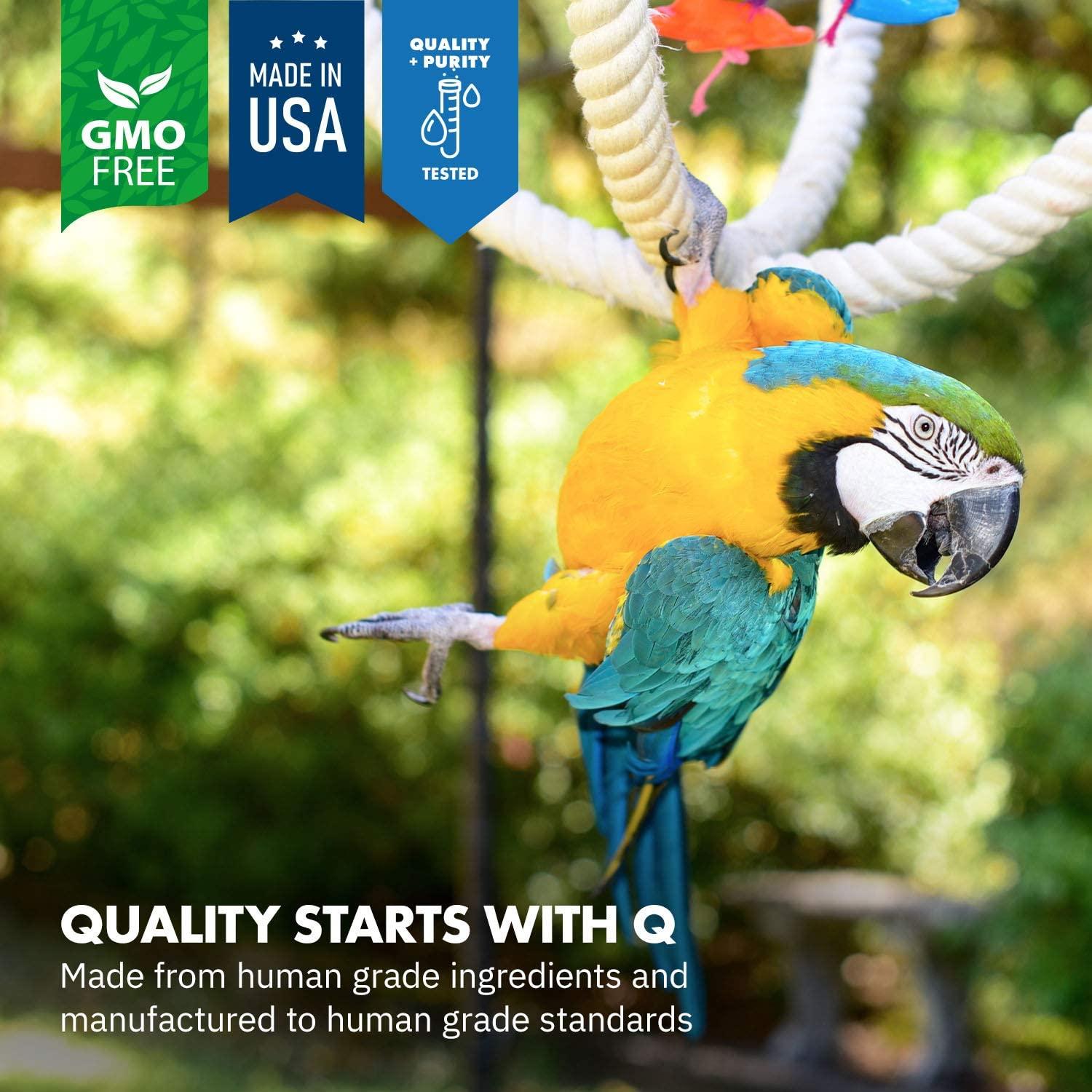 Avian Probiotics for Parrots | All-Natural Digestive System Support ...