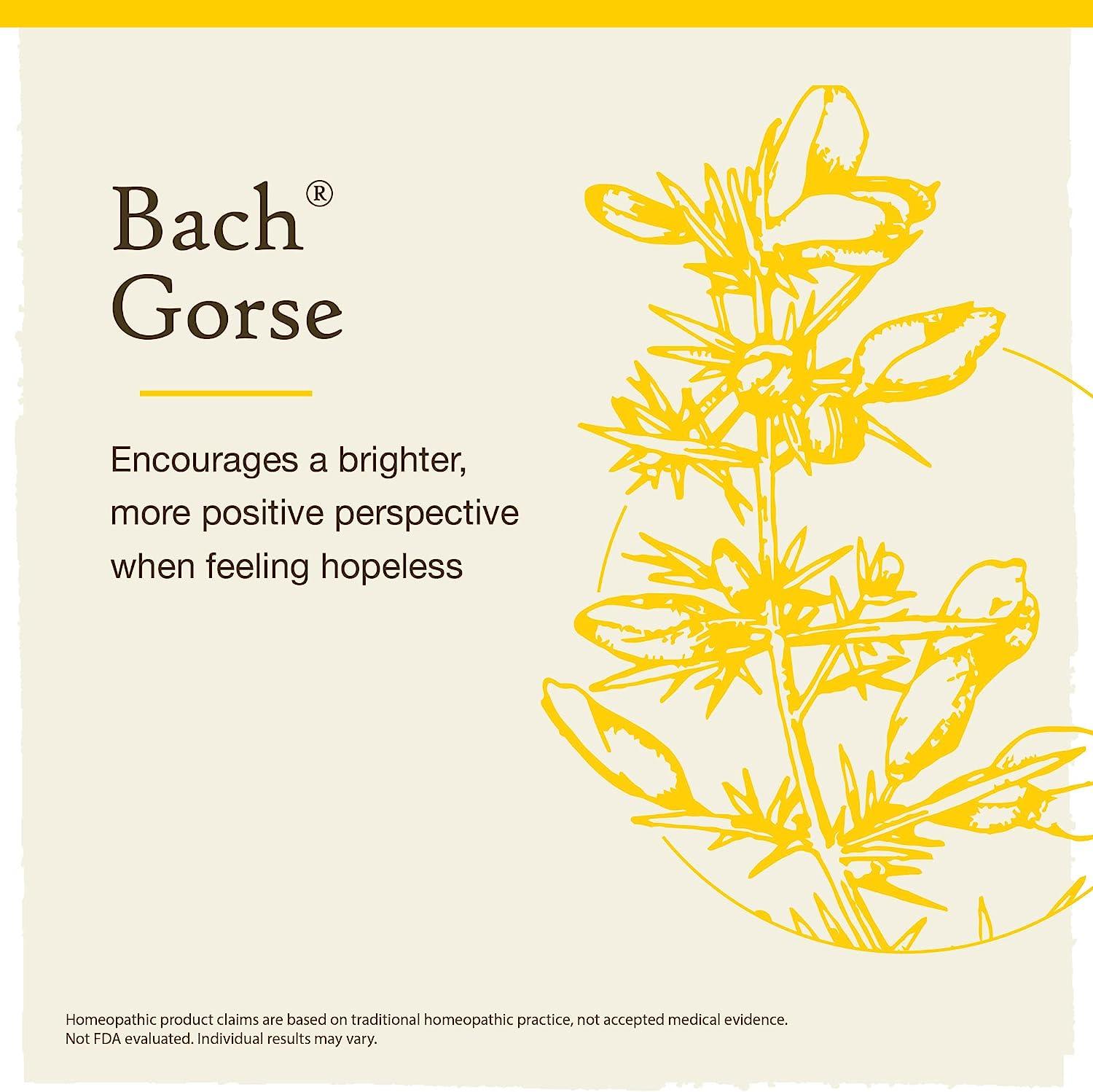 Bach Original Flower Remedies Gorse for Hope 10mL - Non-Alcohol Formula ...