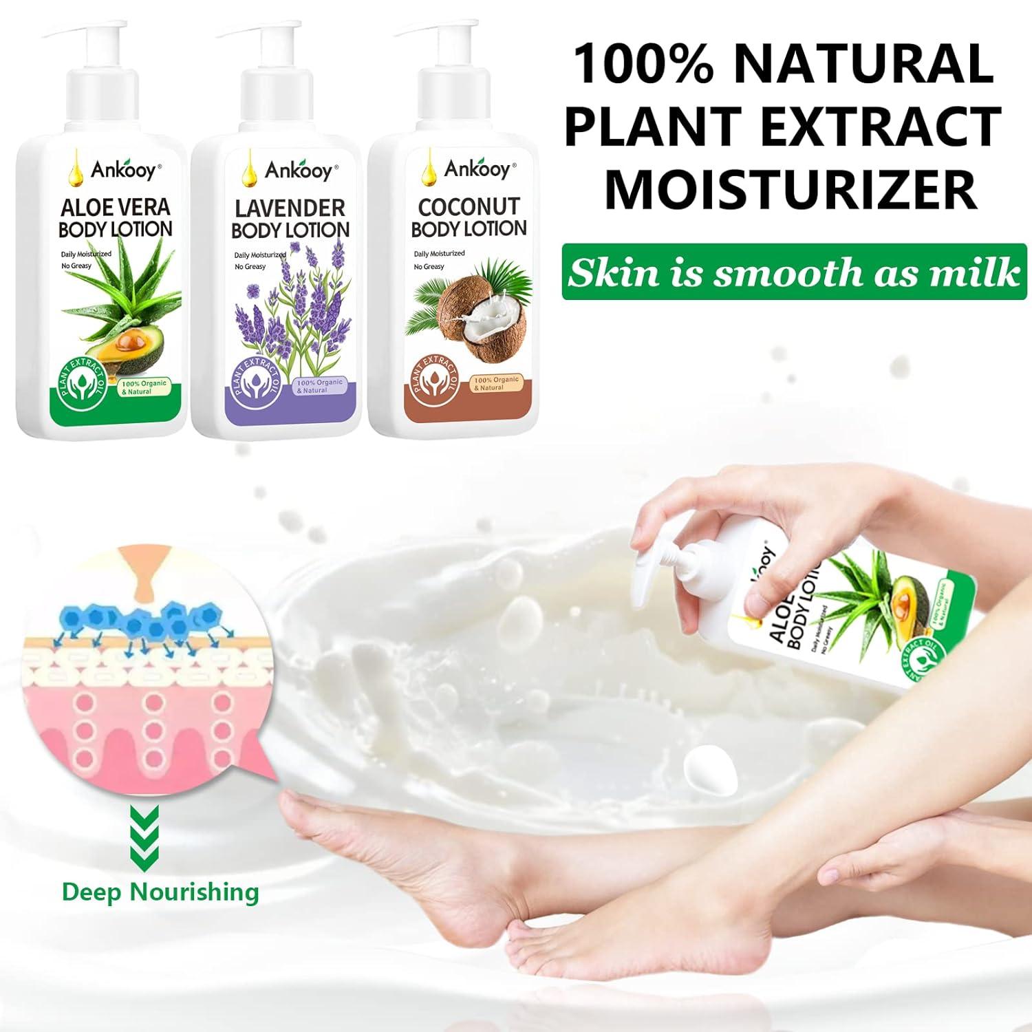 3 Pack Natural Body Lotion for Women and Men - Aloe, Coconut, Lavender ...