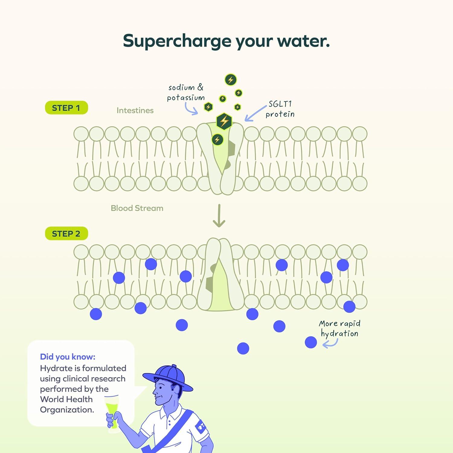 Cheers Hydrate Oral Rehydration Solution - Electrolyte Supplement for ...