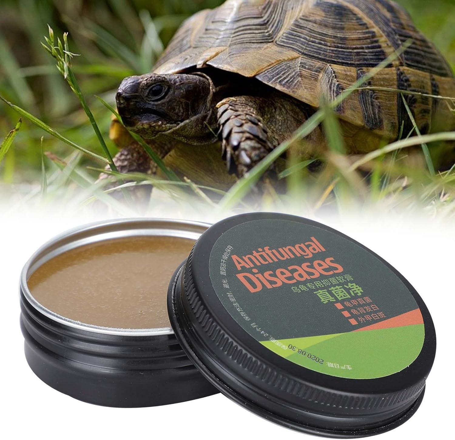 Turtle Shell Saver Moisturizer | Antifungal Cream for Turtle Care ...