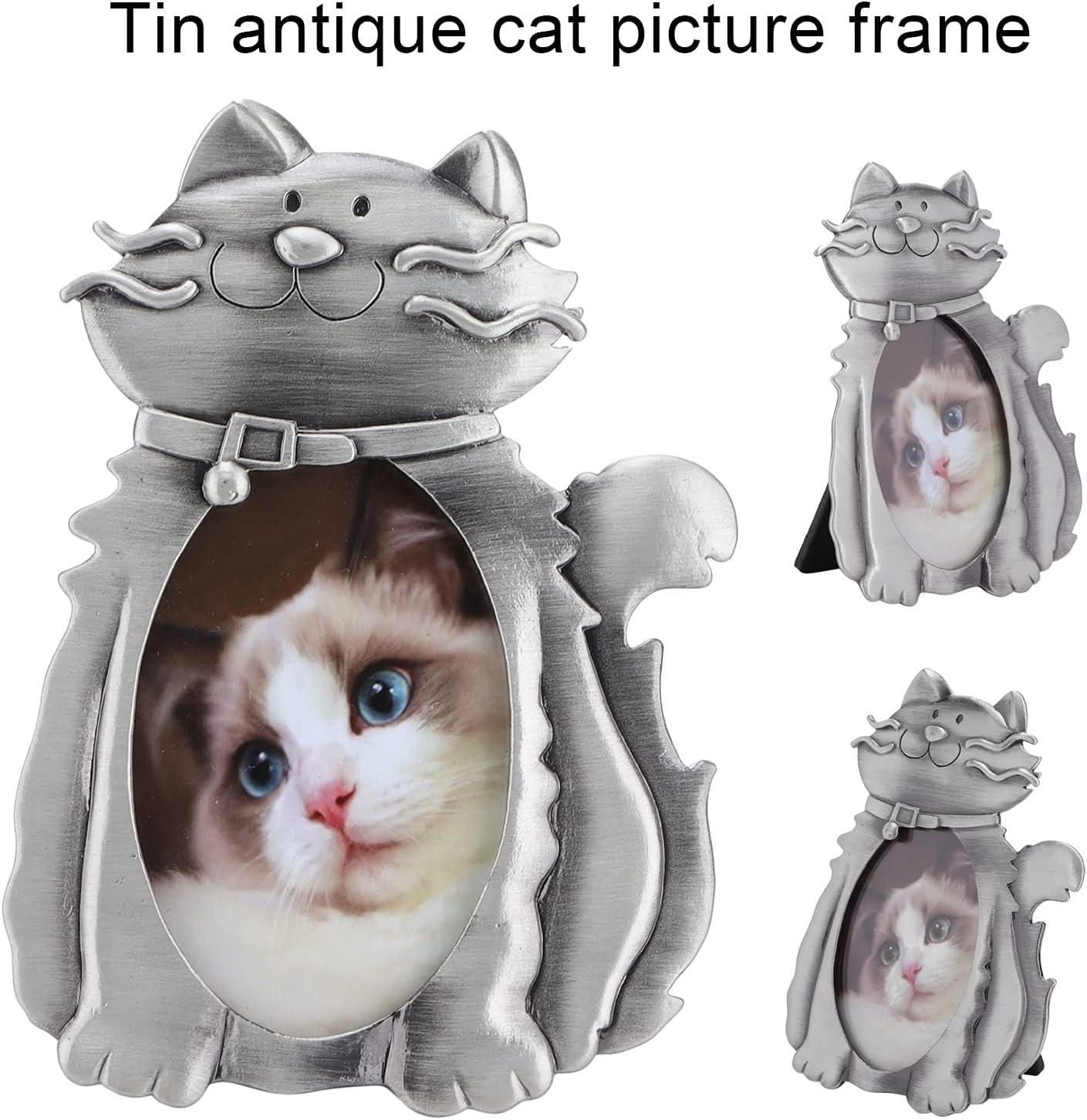 cat frames for pictures
