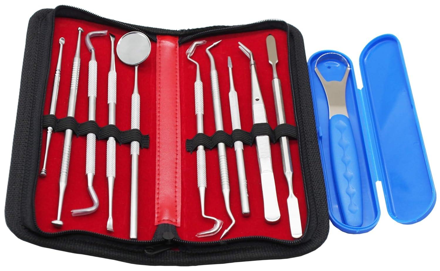 Professional Dental Oral Hygiene Tool Kit 11 Stainless Steel Tools for ...