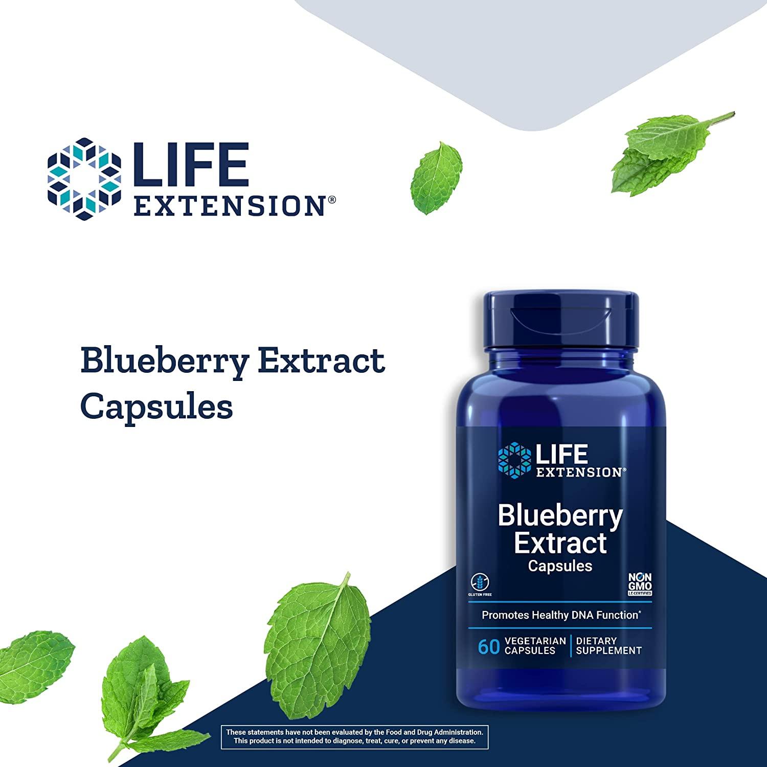 Life Extension Blueberry Extract Capsules - 60 Vegetarian Capsules for ...
