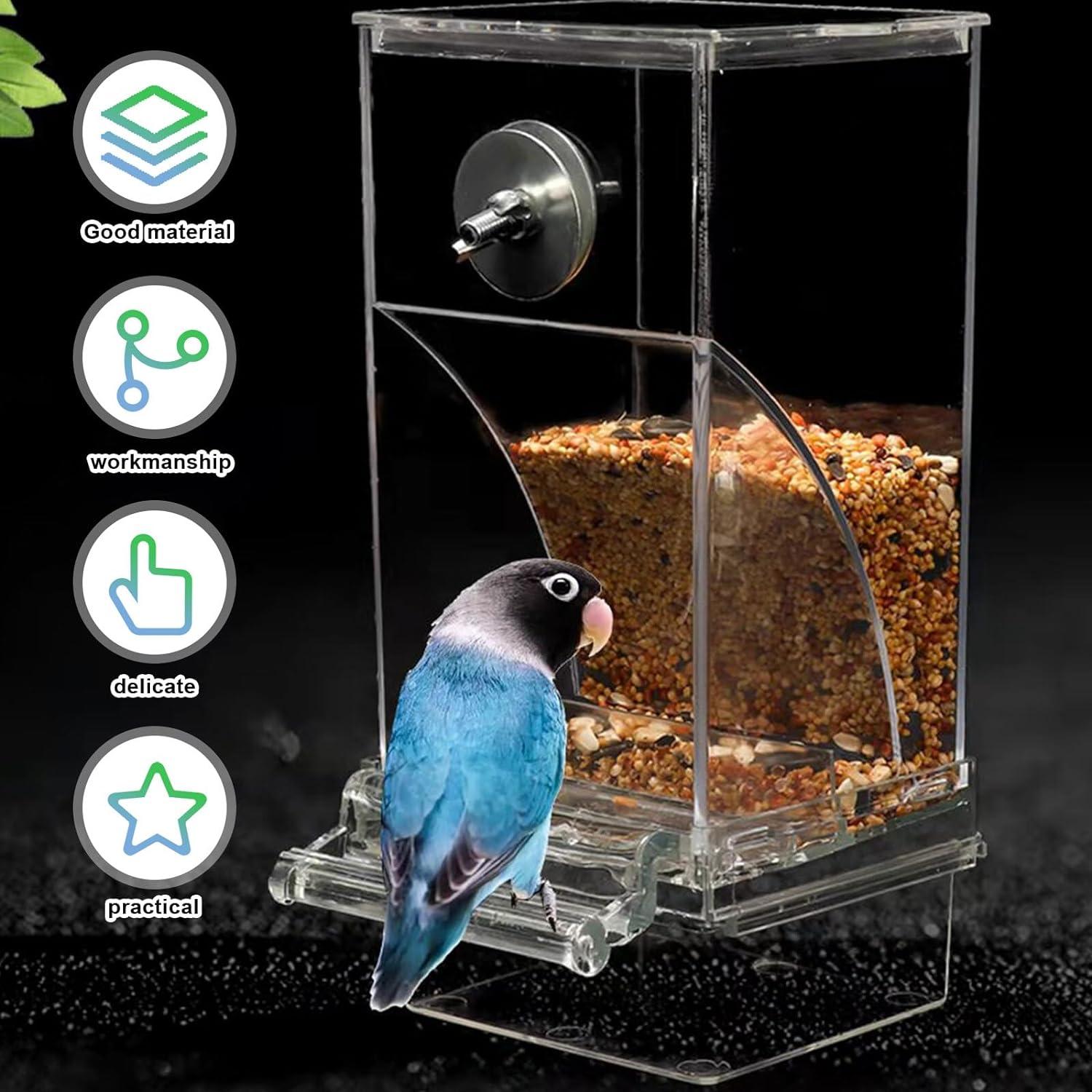 Transparent Automatic Bird Feed Dispenser | Acrylic Feeder for Budgies ...