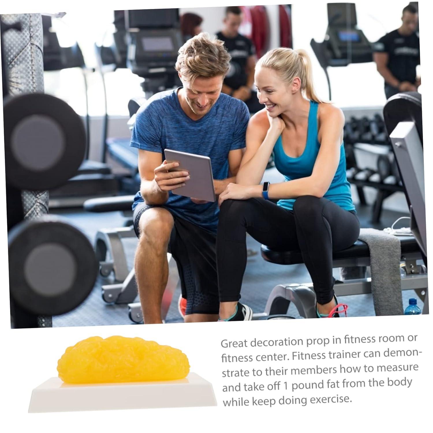 Gatuida Anatomical Fat 3pcs Fat Model Models Demonstration Model Human ...