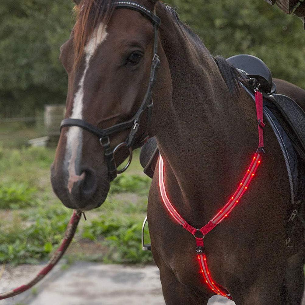 Premium LED Horse Harness | Robust & Comfortable Chest Strap - Best ...