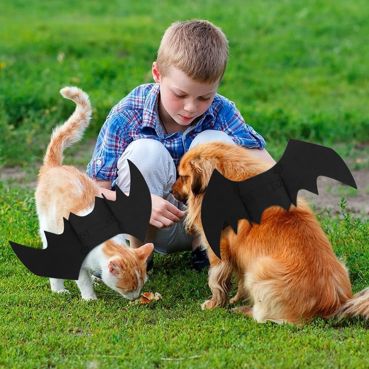 Adorable Cat Bat Costume & Bat Wings for Dogs - Perfect Pet Halloween ...