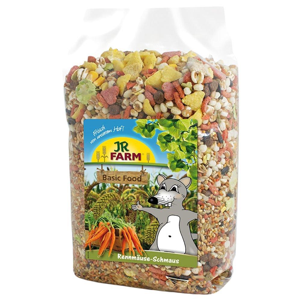 JR FARM Gerbil Feast 600g - Nutritious Herbs for Healthy Gerbils ...