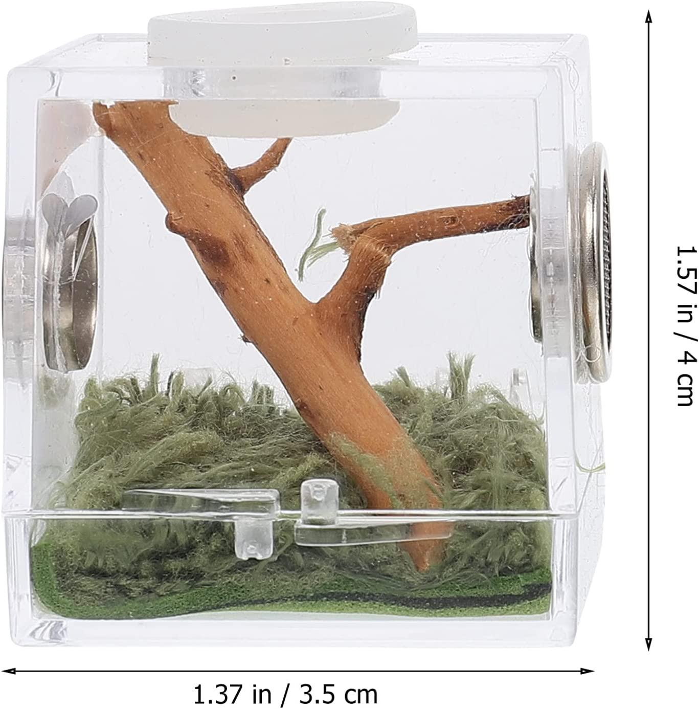 NUOBESTY 2 Set Spider & Snail Terrarium Kit | Acrylic Critter Keeper ...