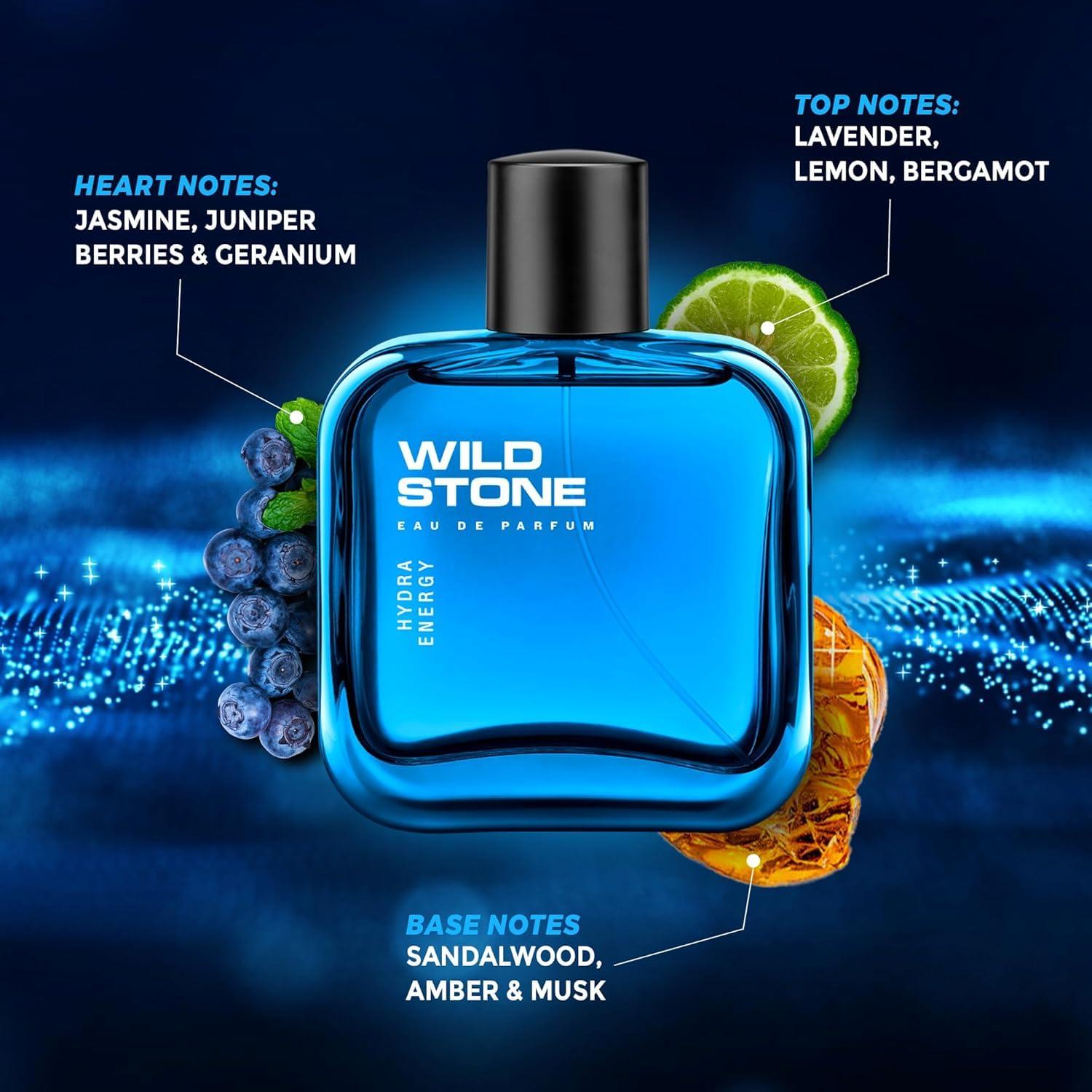 Wild Stone's Hydra Energy Premium Eau De Parfum for Men 100ml|Long ...