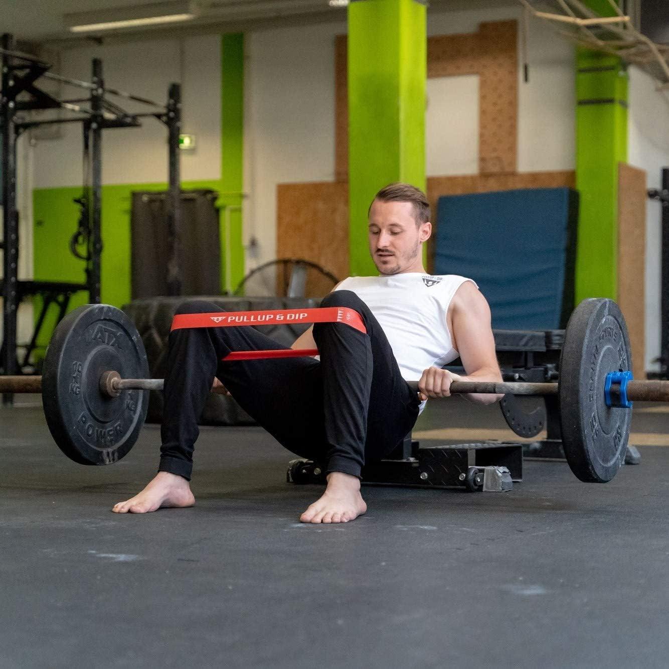 Buy Pullup & DIP LOOP Bands Set - Natural Latex Resistance Tapes for ...