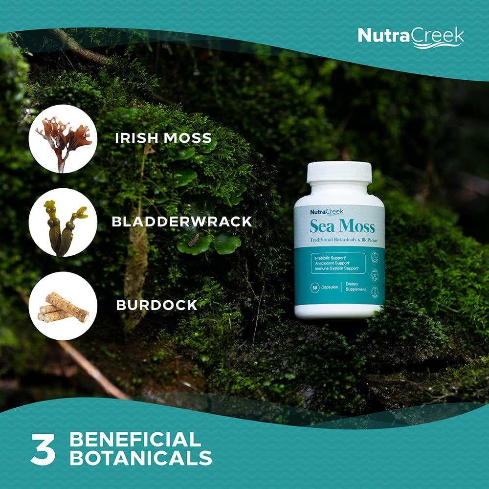 NutraCreek Sea Moss & Calcium with Vitamin D3 Supplement Bundle | 60 ...