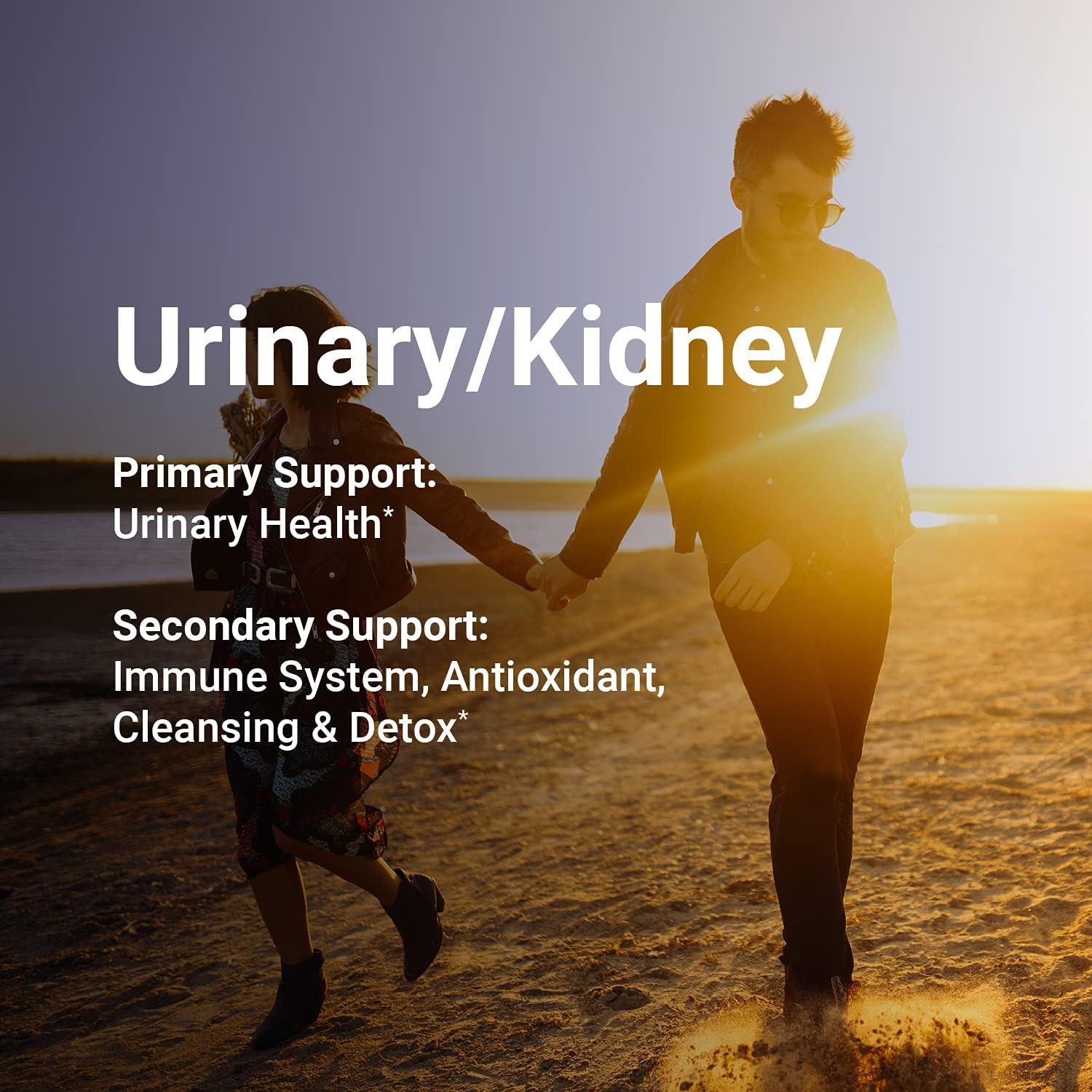 4Life Transfer Factor KBU - Kidney, Bladder & Urinary Health Support ...