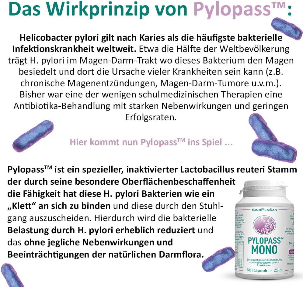 Pylopass Mono 200mg - 60 Vegan Capsules for Helicobacter Pylori ...