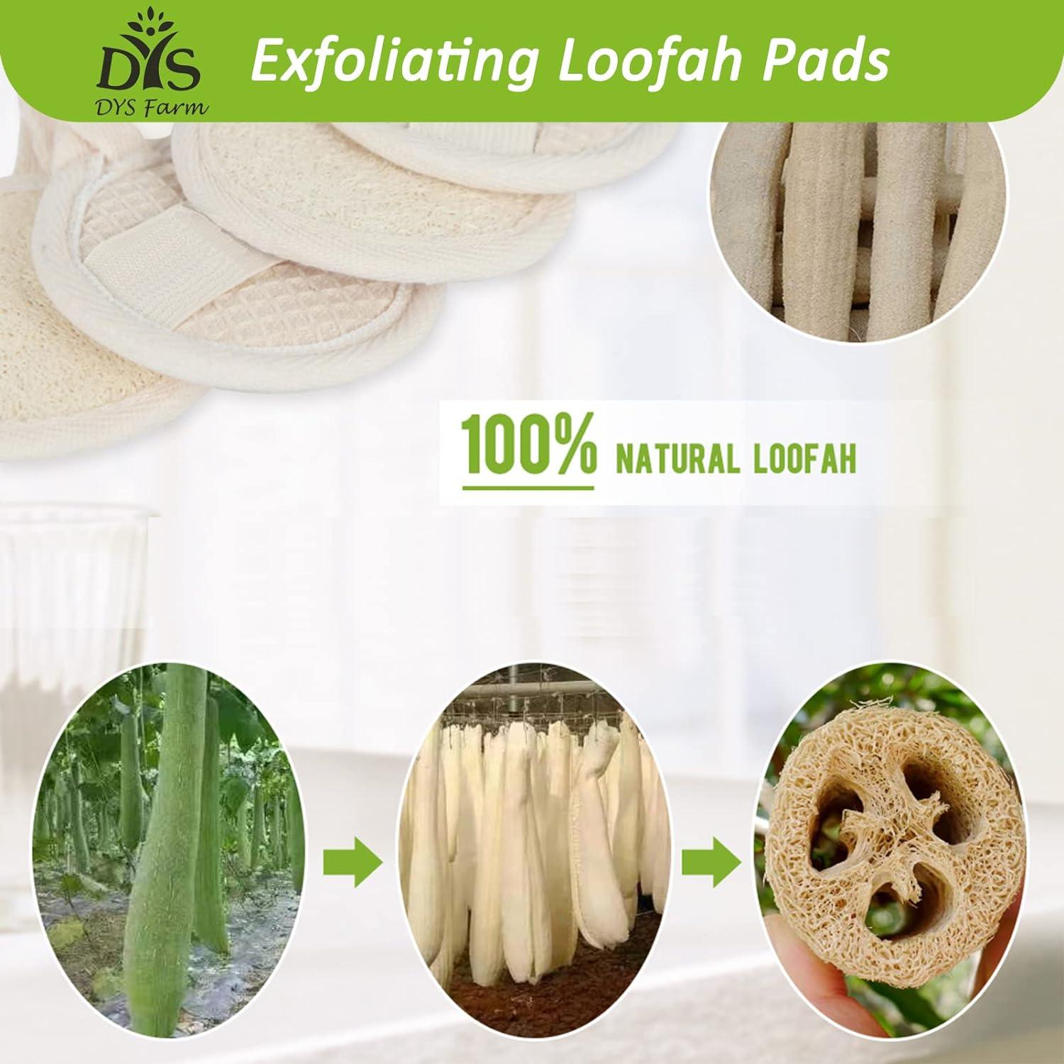6 Pack Face Loofah Pads Exfoliating Scrubber for Men & Women - Natural ...