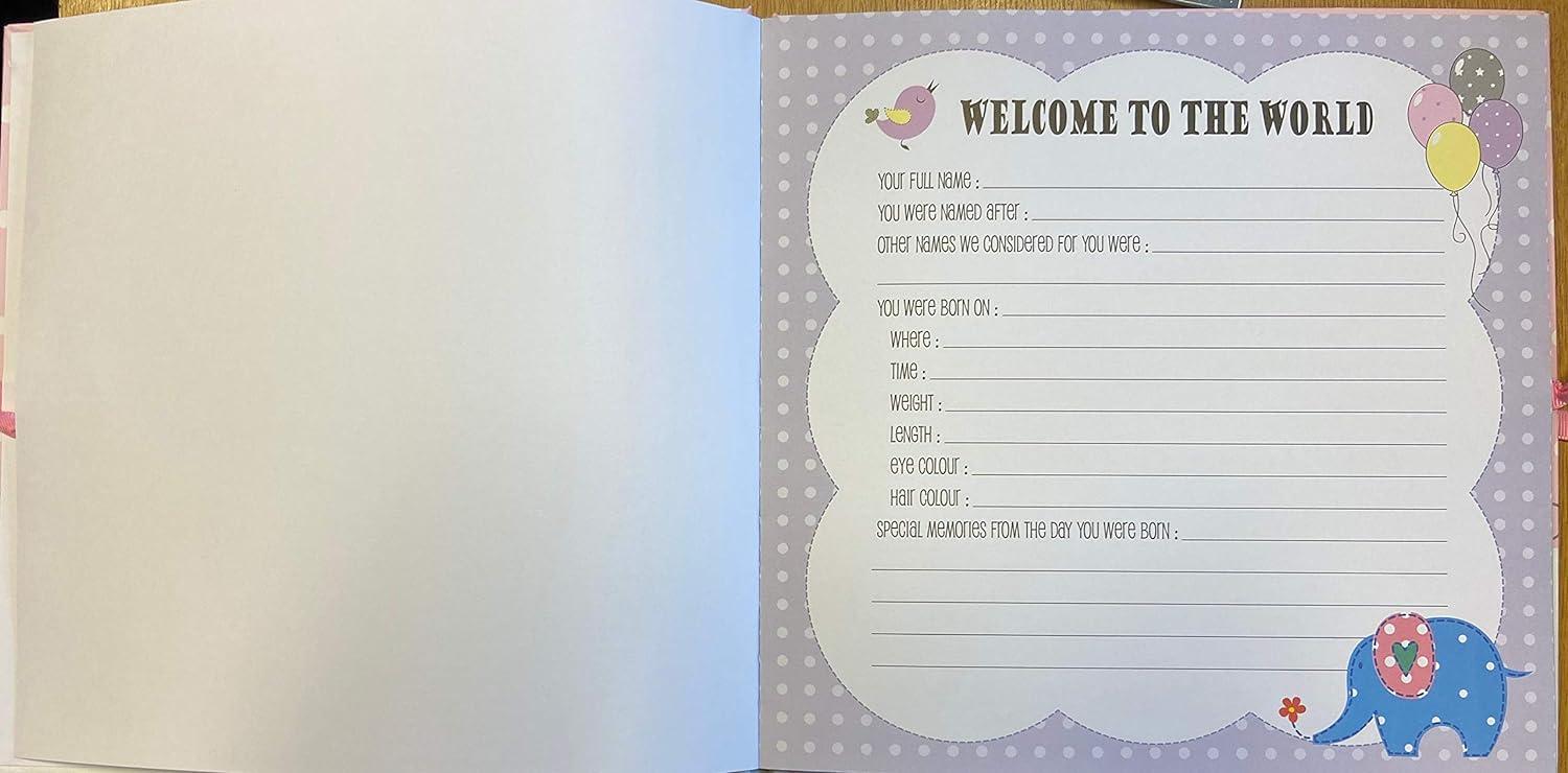 My First Year Record Log Book - Pink | Baby's Birth to First Year Memories
