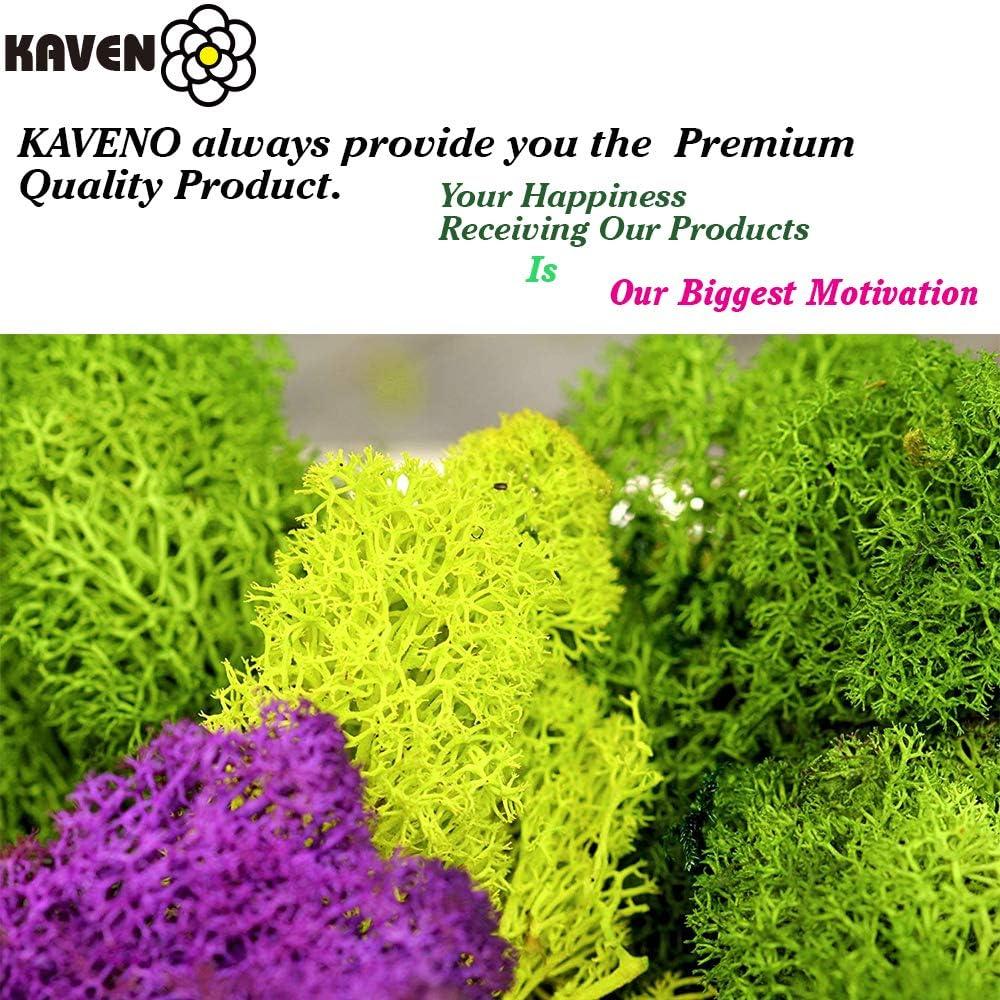 Preserved Green Moss for Fairy Gardens, Terrariums, Crafts, Weddings ...