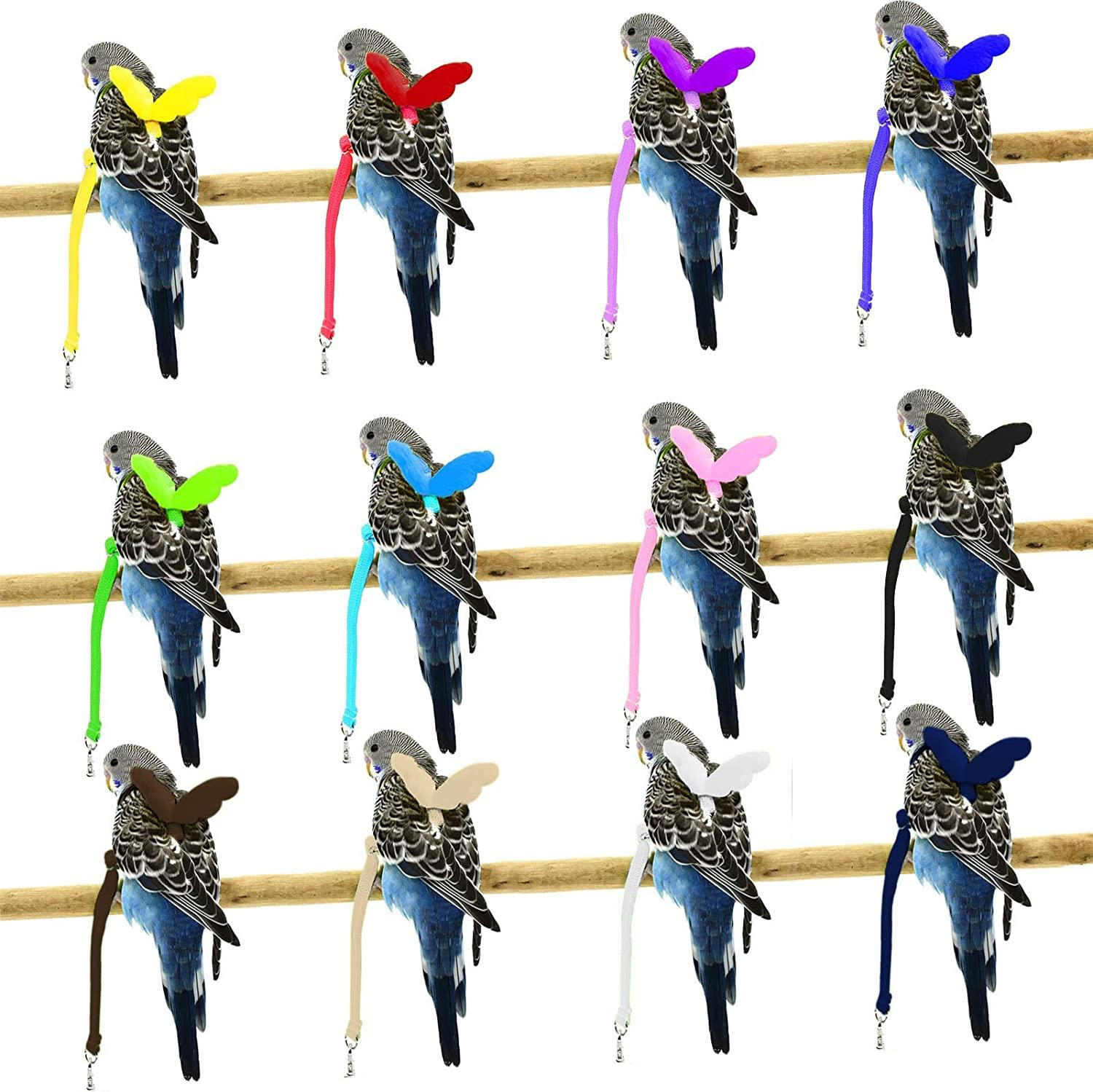 Pet Parrot Bird Harness and Leash | Adjustable Anti-Bite Training ...