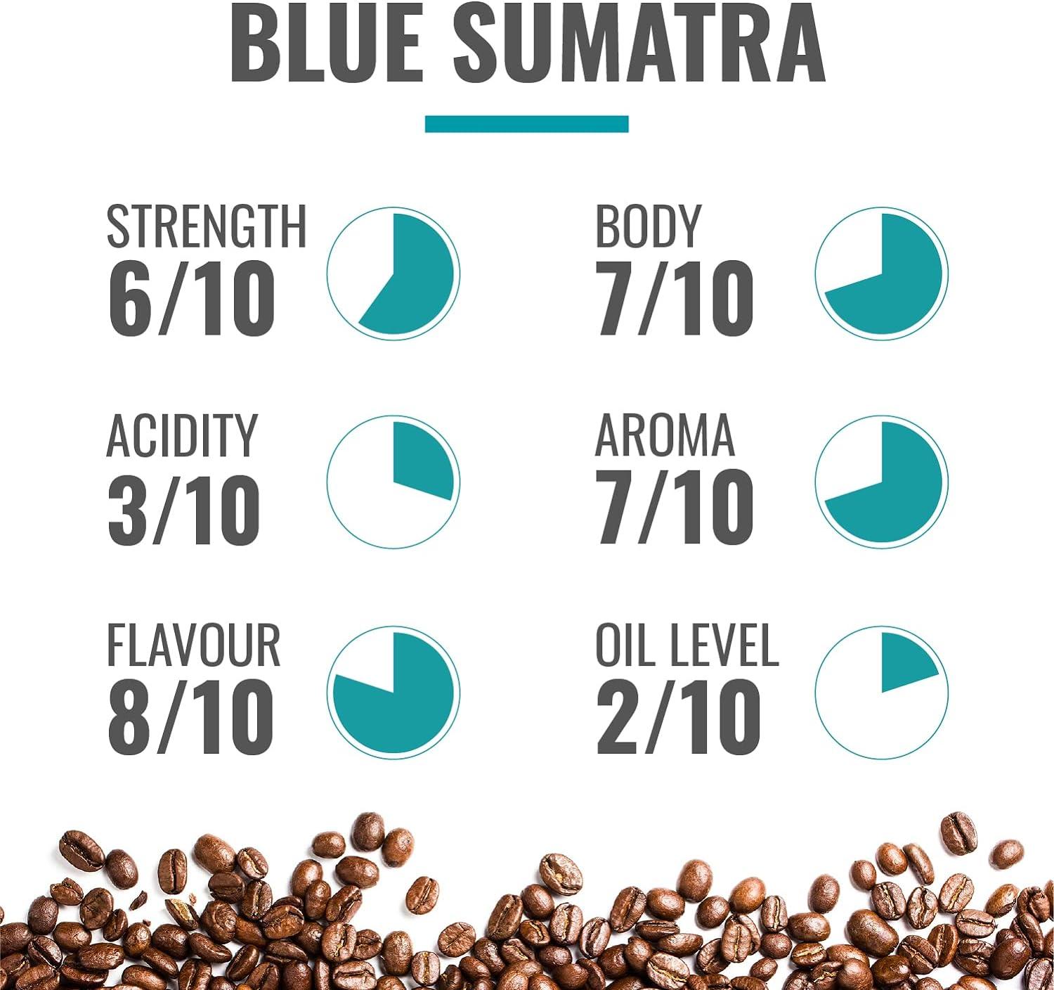 Coffee Direct Blue Sumatra Coffee Beans 908 g | Buy Now with Express ...