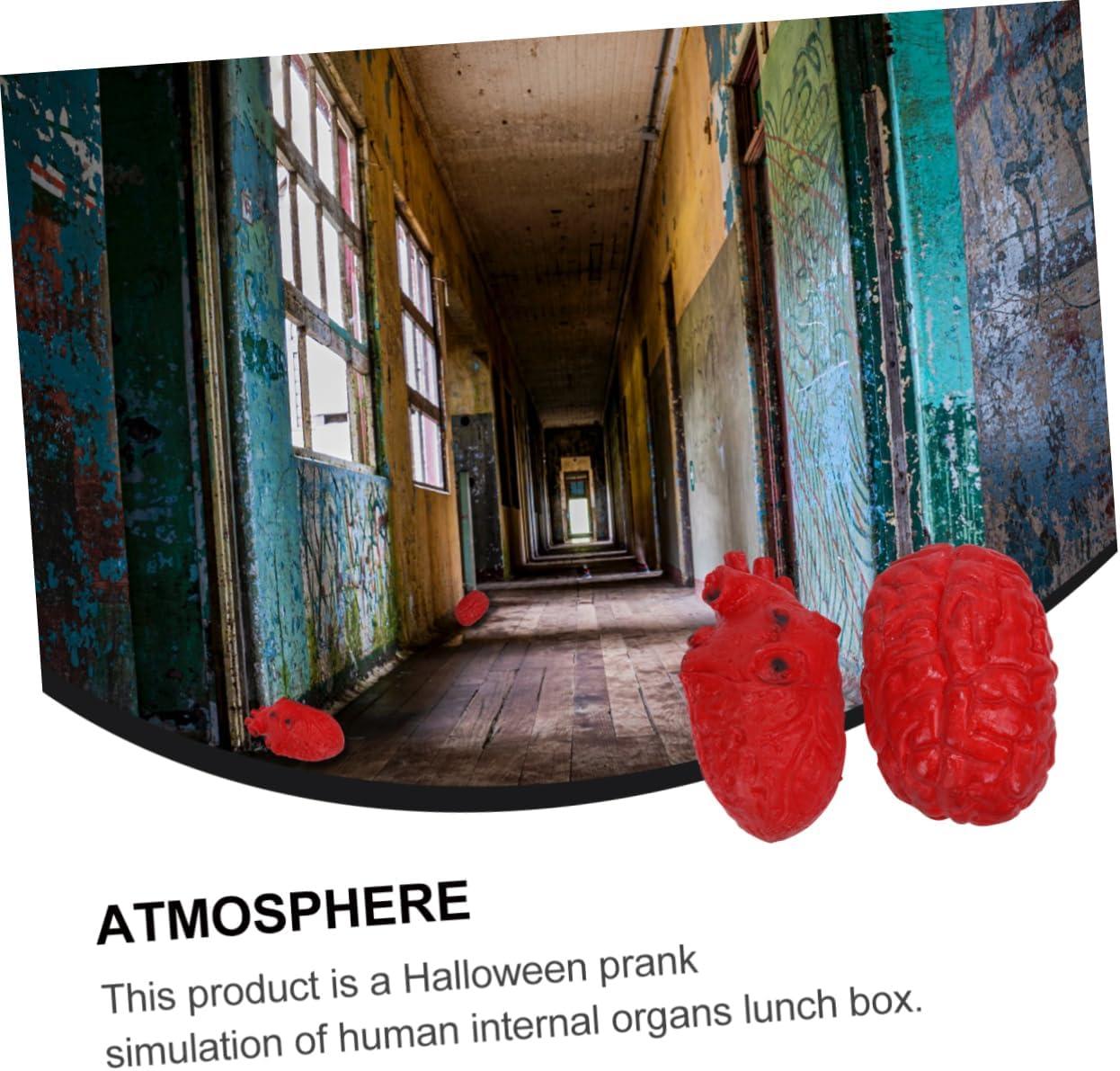 ABOOFAN 2 Pcs Simulated Organ Lunch Box Body Organs Props Fake Body ...