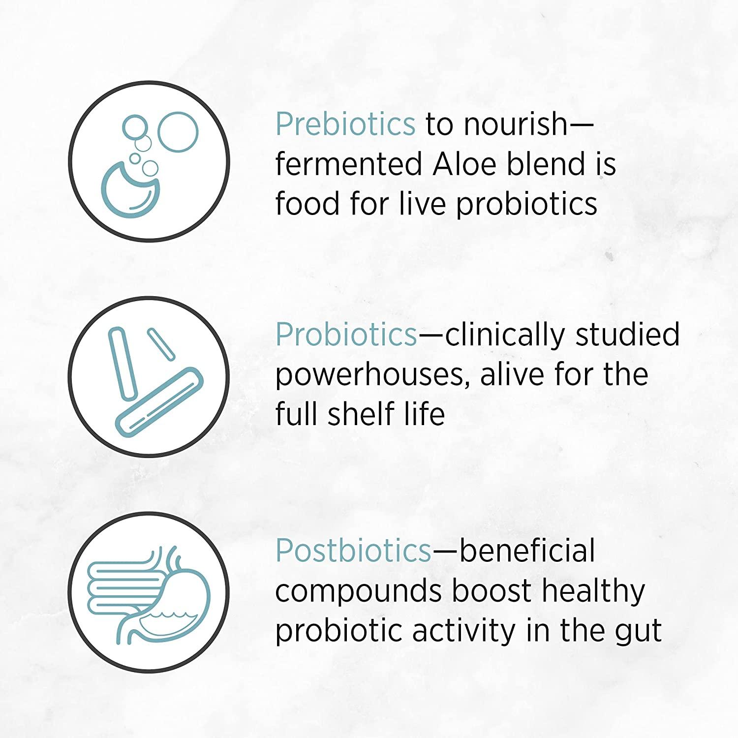 New Chapter All-Flora Probiotic - 30 Vegan Capsules for Digestive ...