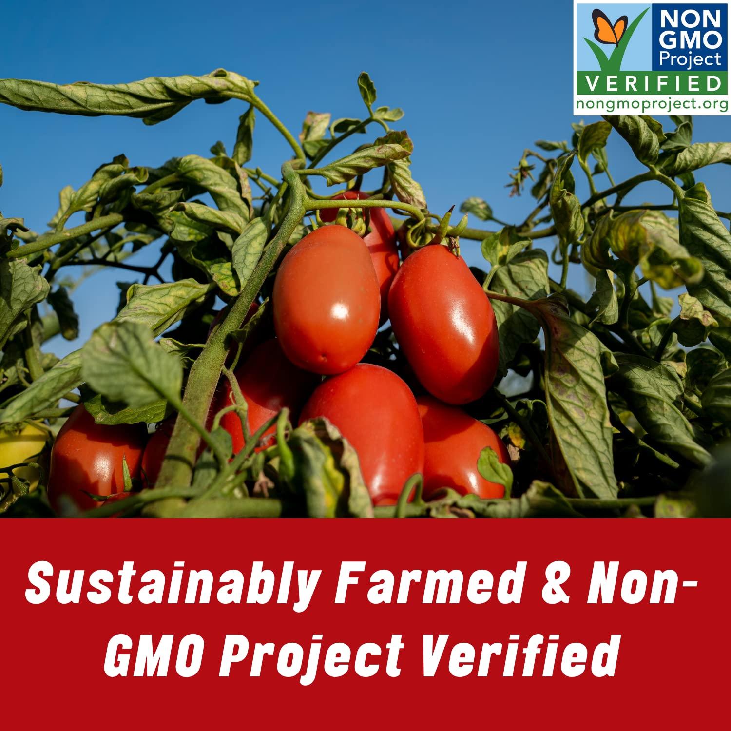 cherry tomatoes brands