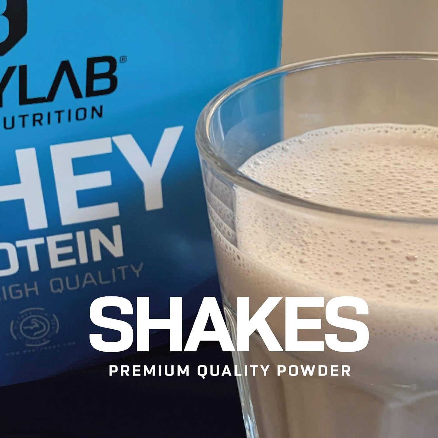 Buy Bodylab24 Whey Protein Powder - Chocolate Brownie Flavor 1kg ...