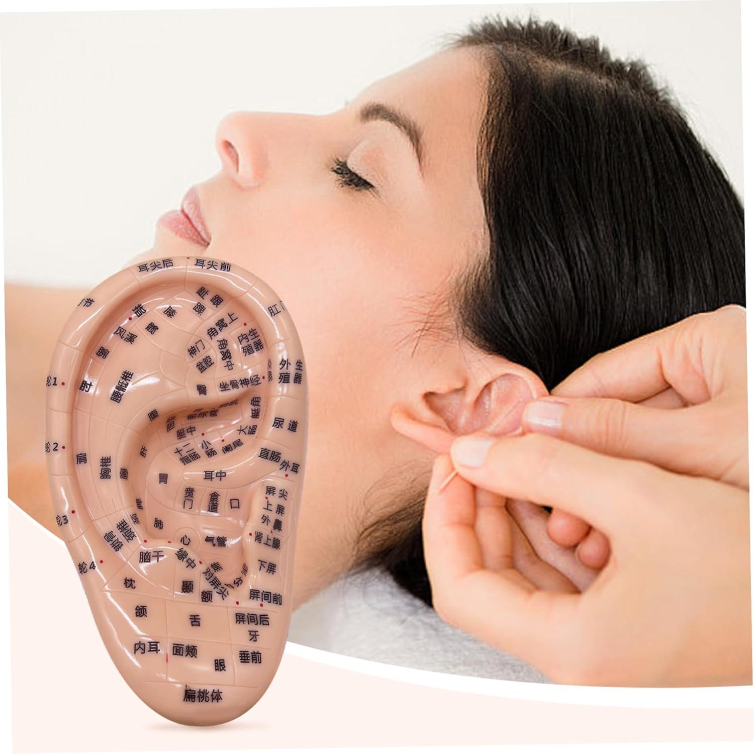PEOSAARD Soft Ear Seed Kit - 5.1-Inch Educational Acupuncture Ear Model ...