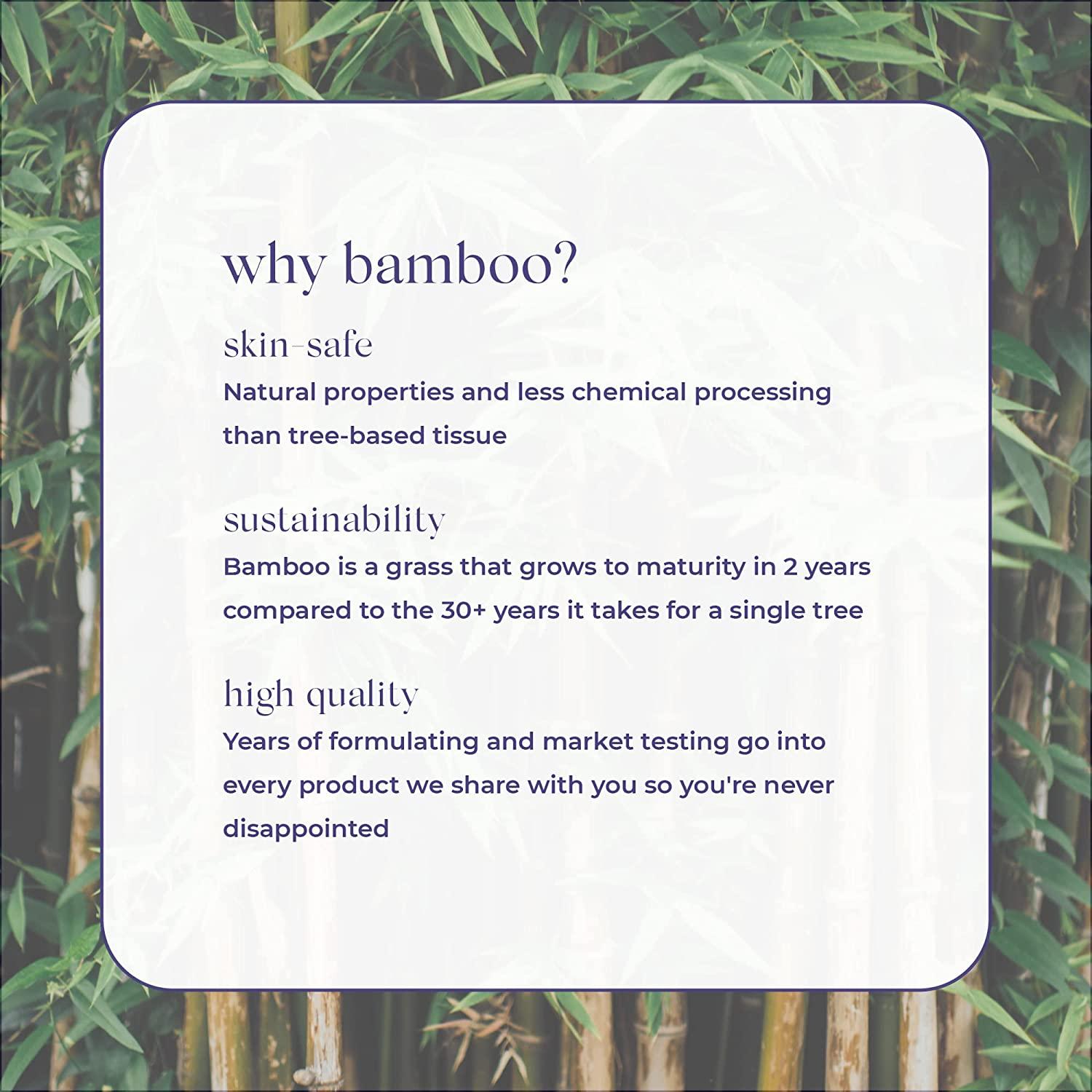 Bim Bam Boo Bath Tissue - 12 Count Eco-Friendly Toilet Paper | Buy Now ...