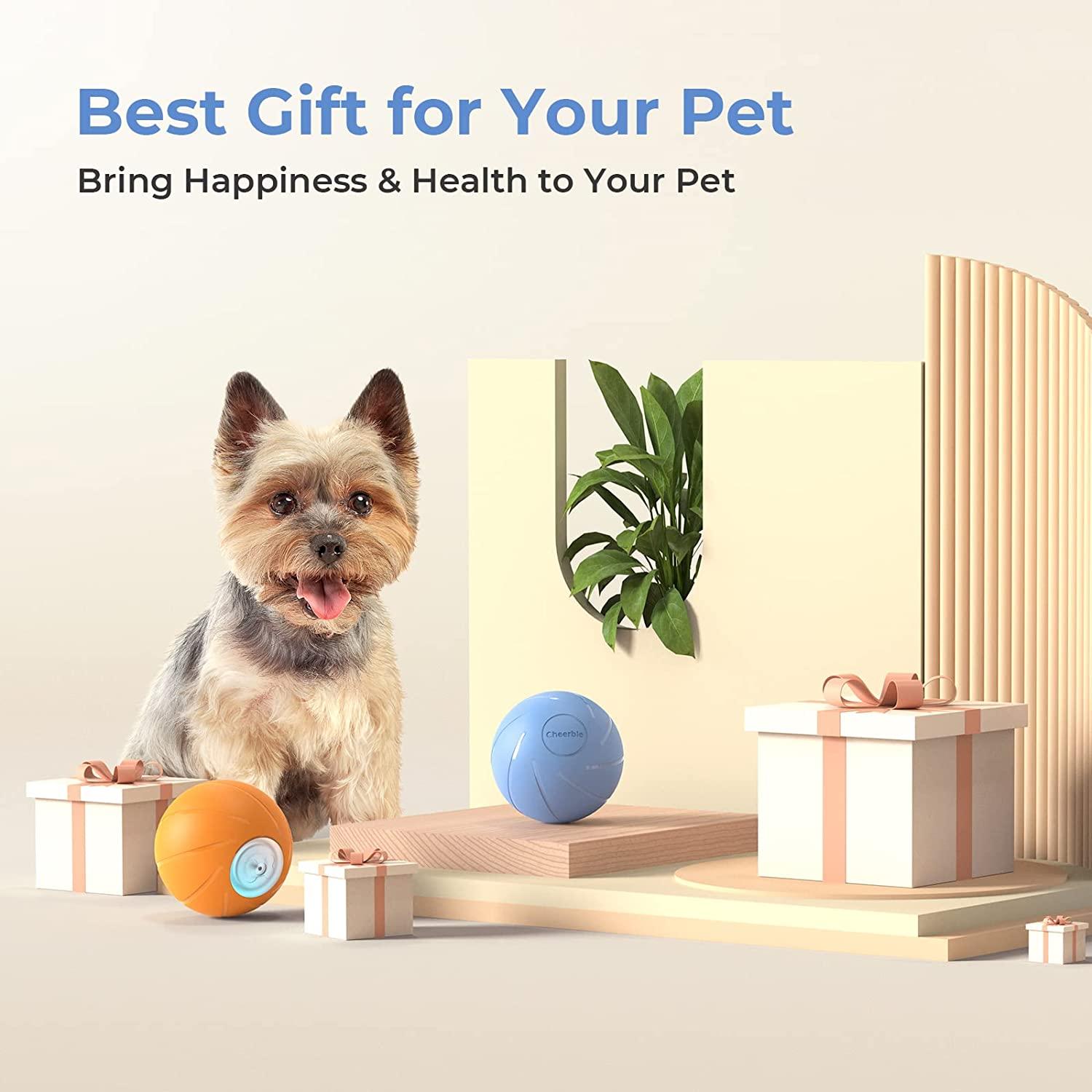 Cheerble Wicked Ball SE: Interactive LED Dog Toy Ball - Natural Rubber ...
