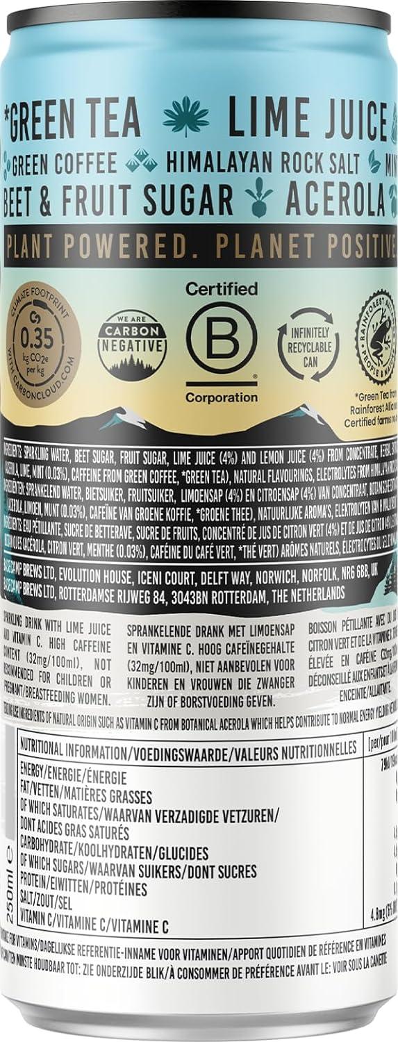 TENZING Natural Energy Drink Plant Based Vegan & Gluten Free Drink Lime ...