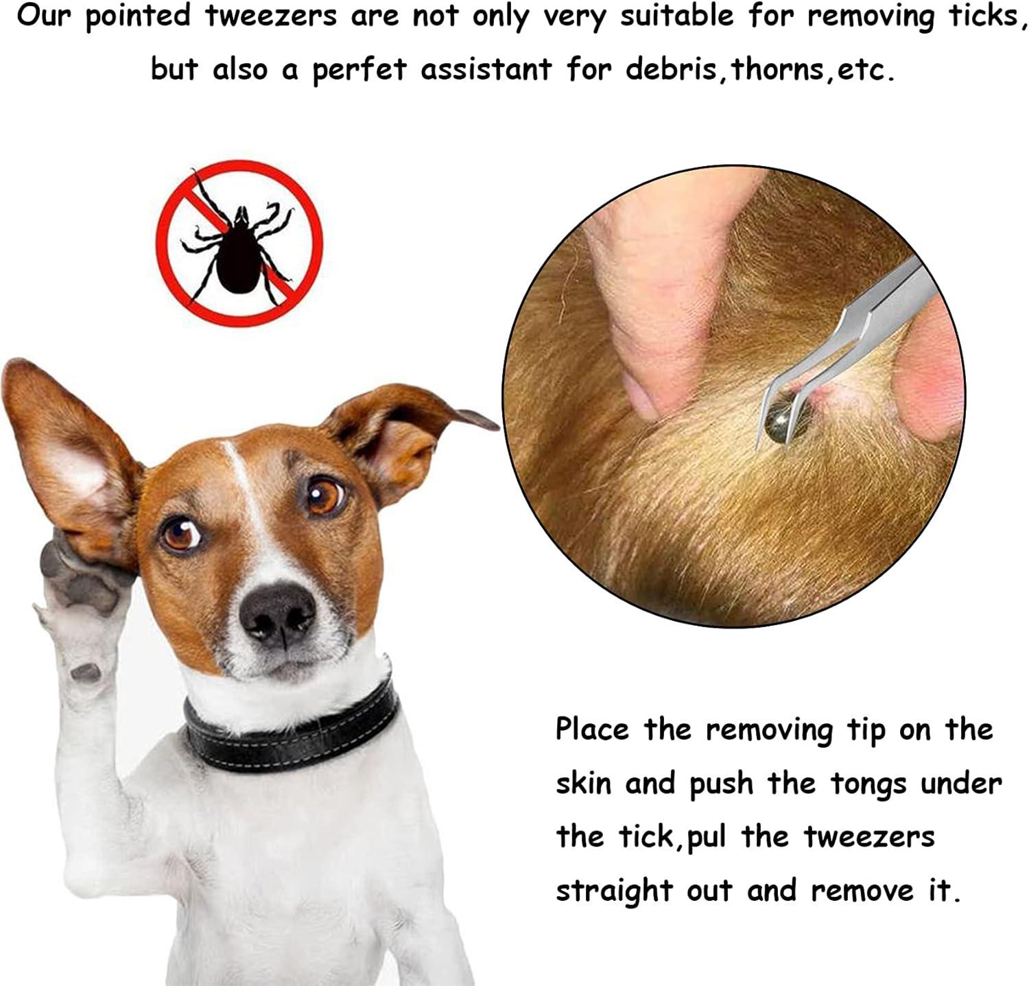 Easyult Tick Pliers & Splinter Tweezers Stainless Steel 2in1 for Humans ...