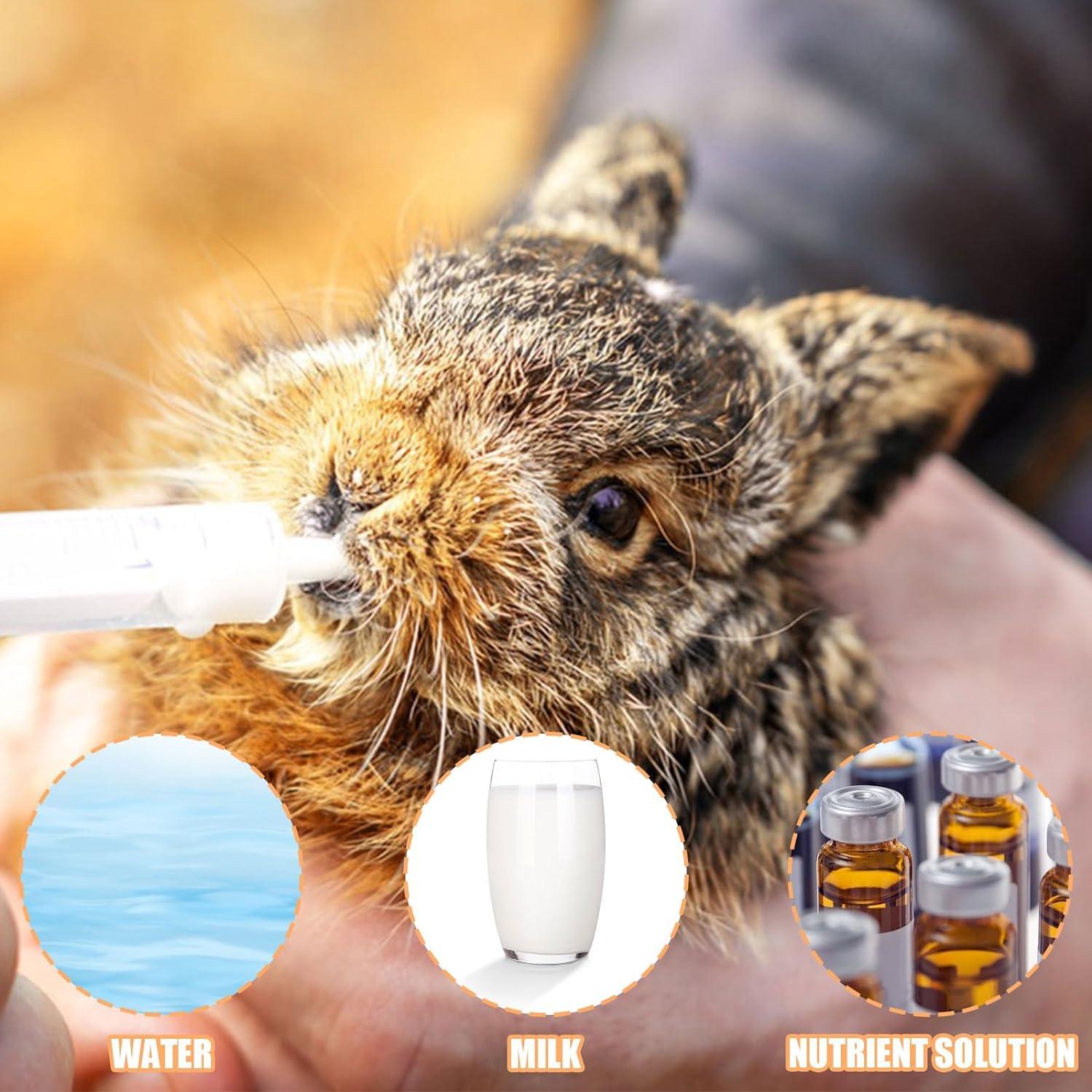 Buy Suxgumoe Baby Bird Parrot Feeding Syringe + 20 Gavage Tubes - Best ...
